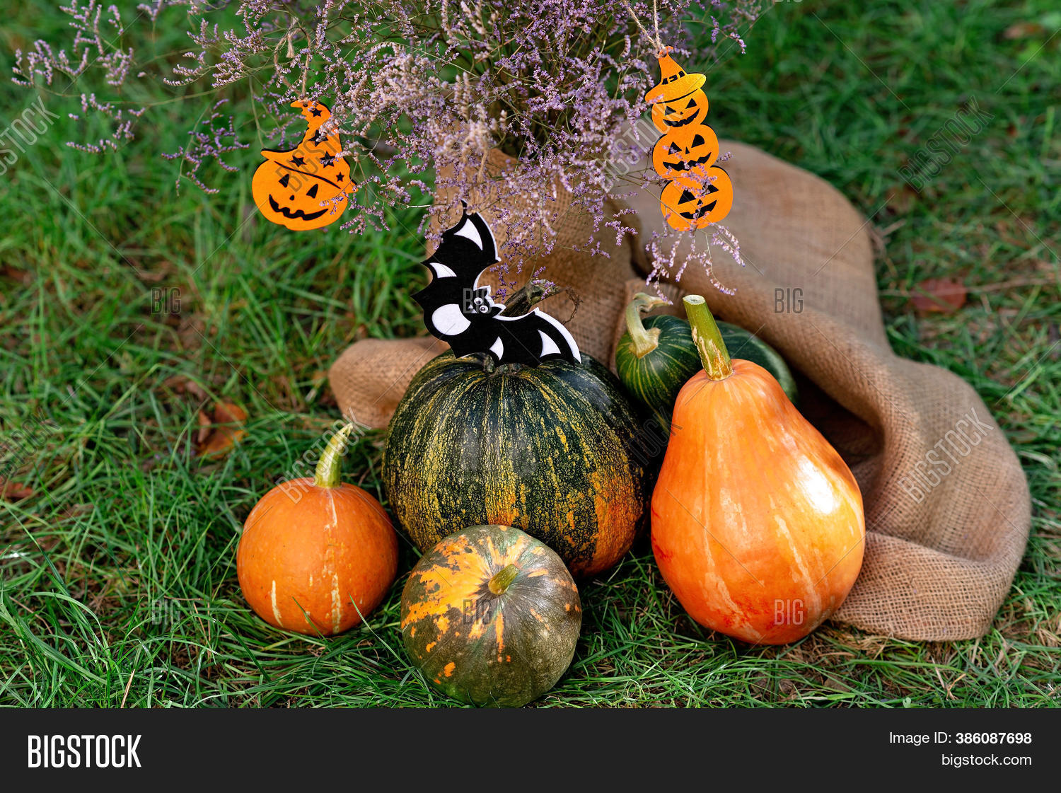 Autumn Composition Image & Photo (Free Trial) | Bigstock