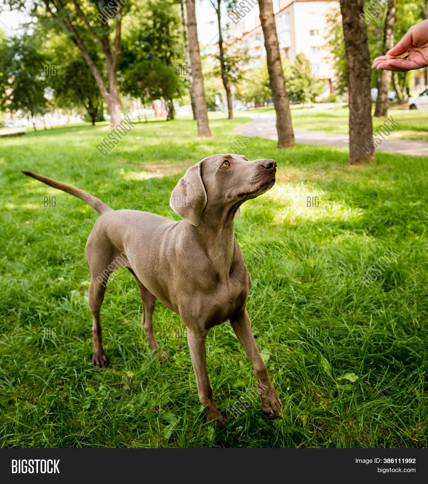 Portrait Cute Image & Photo (Free Trial) | Bigstock