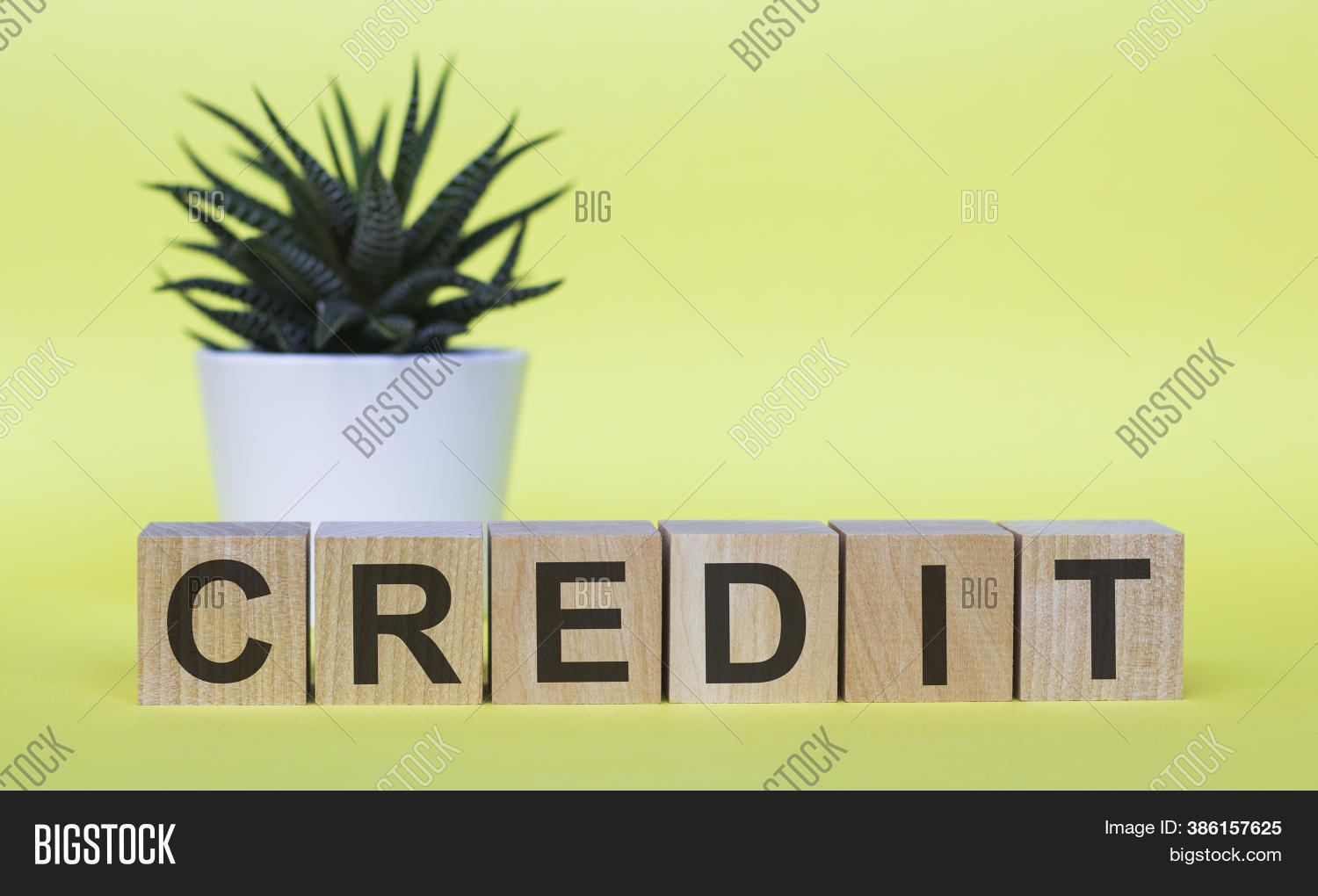 Credit Word Made Image & Photo (Free Trial) | Bigstock