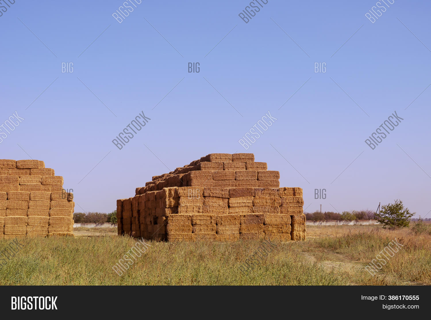 Piled Stacks Dry Straw Image & Photo (Free Trial) | Bigstock