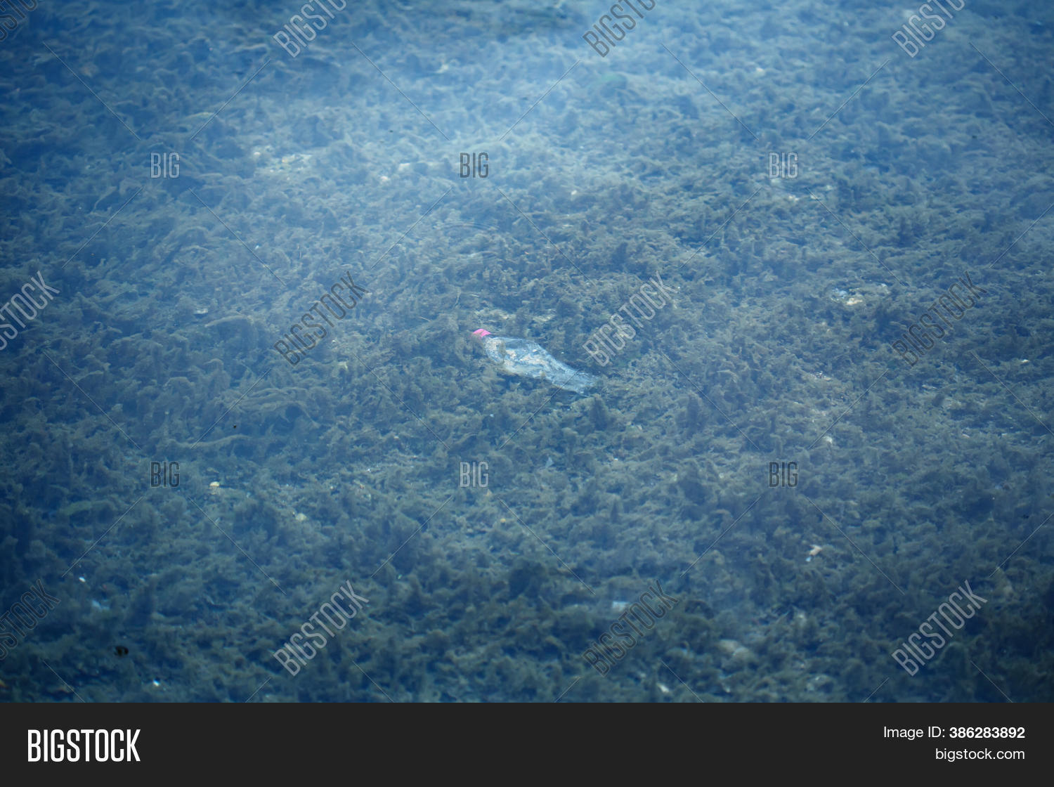 Human Contamination Image & Photo (Free Trial) | Bigstock