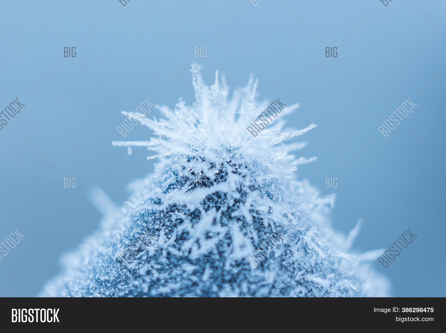 Frozen Nature Image & Photo (Free Trial) | Bigstock