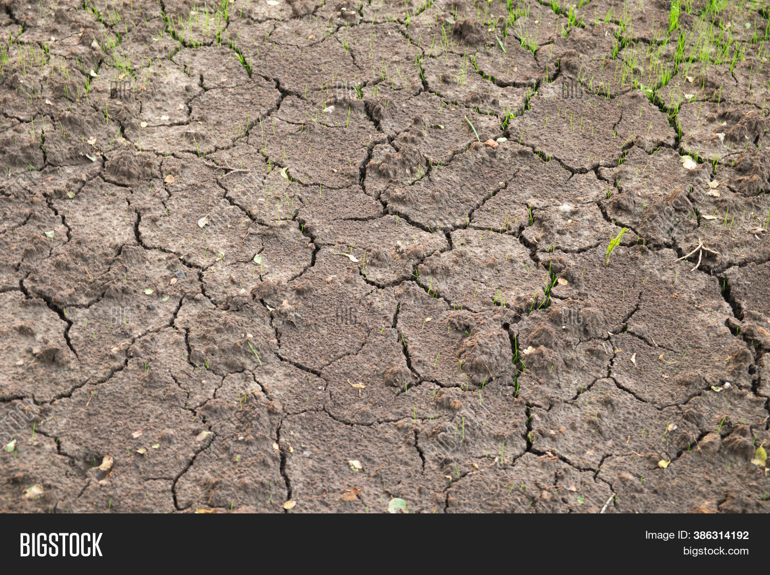 Dry Land Background Image & Photo (Free Trial) | Bigstock