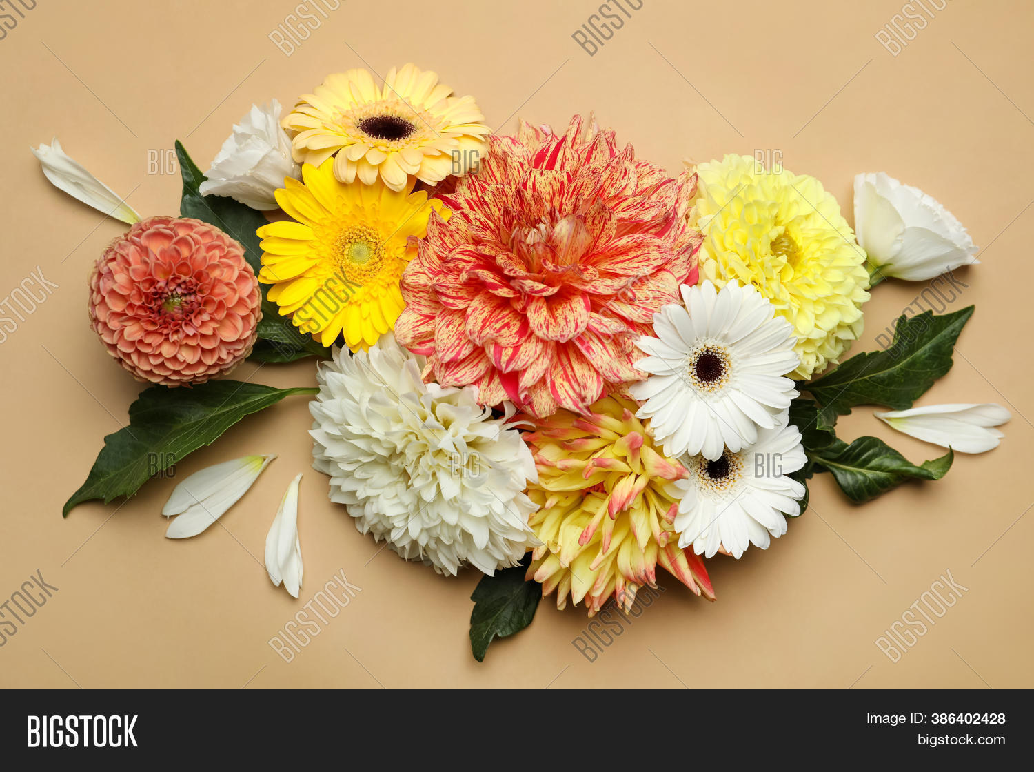 Flat Lay Composition Image & Photo (Free Trial) | Bigstock