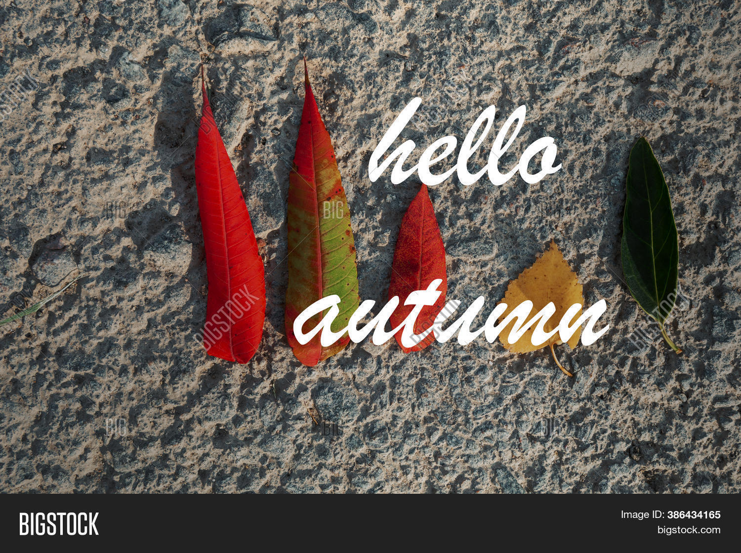 Hello Autumn. Autumn Image & Photo (Free Trial) | Bigstock