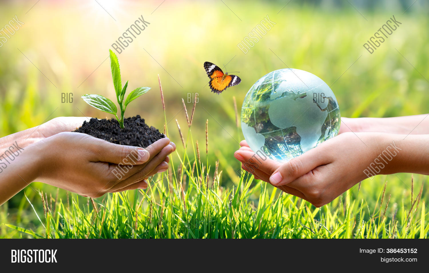 Concept Save World Image & Photo (Free Trial) | Bigstock