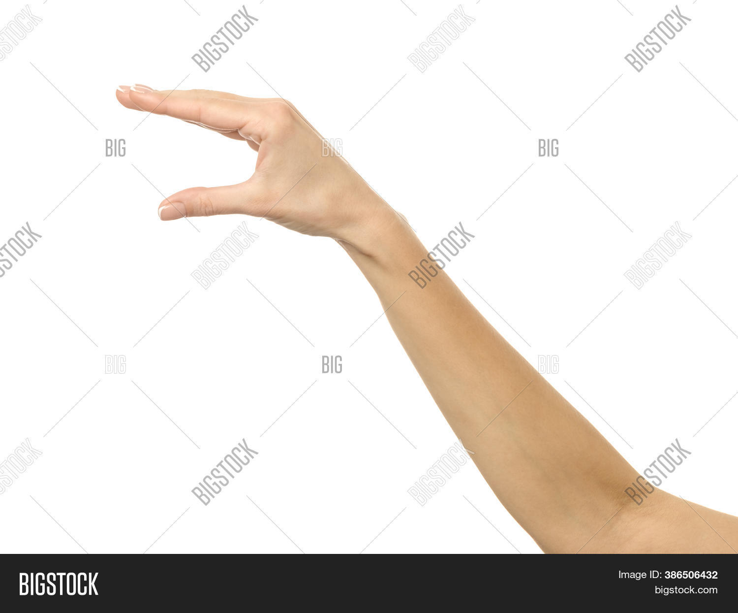 Hand Picking, Holding Image & Photo (Free Trial) | Bigstock