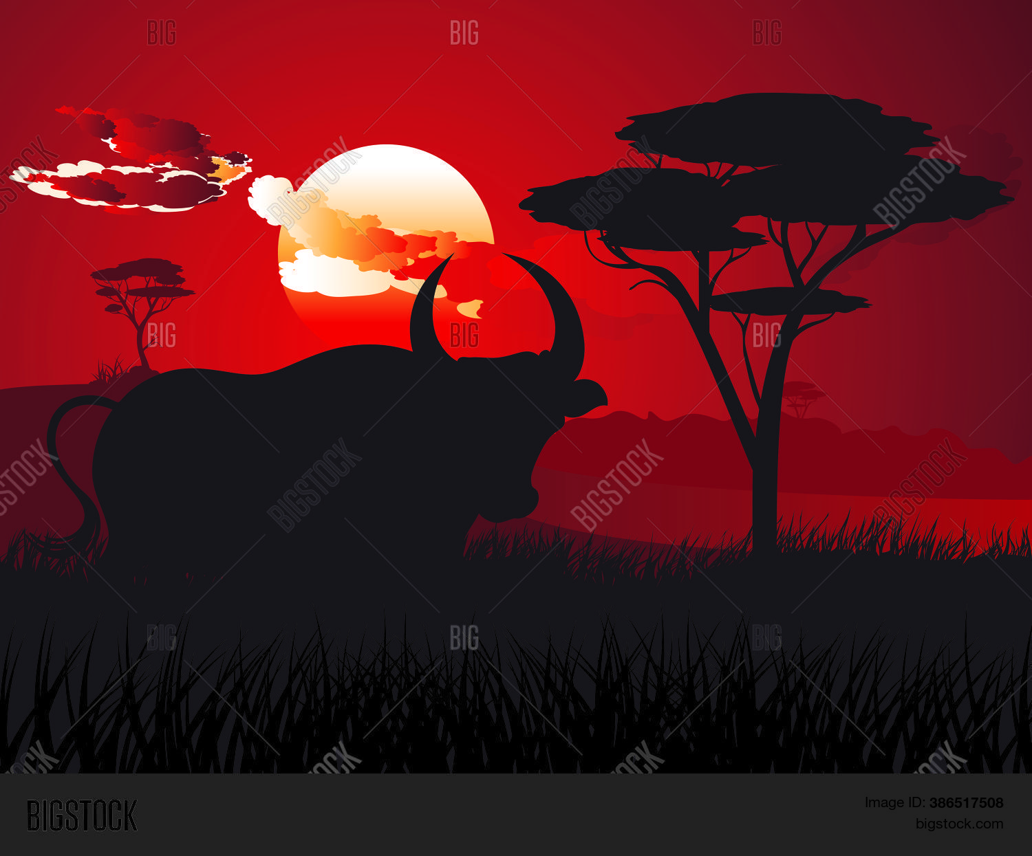 Sunset Landscape Bull Vector & Photo (Free Trial) | Bigstock