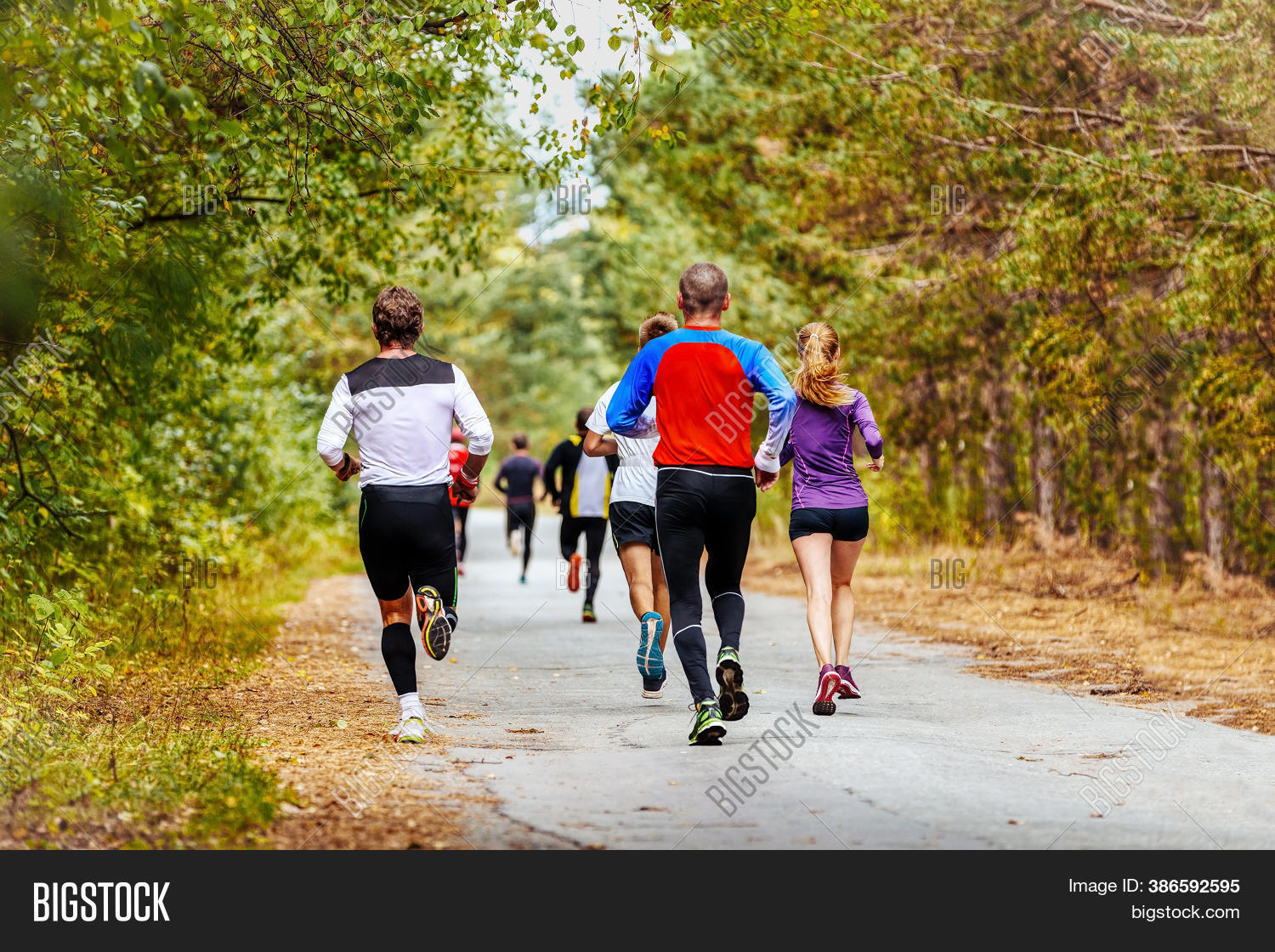 Group Athletes Men Image & Photo (Free Trial) | Bigstock