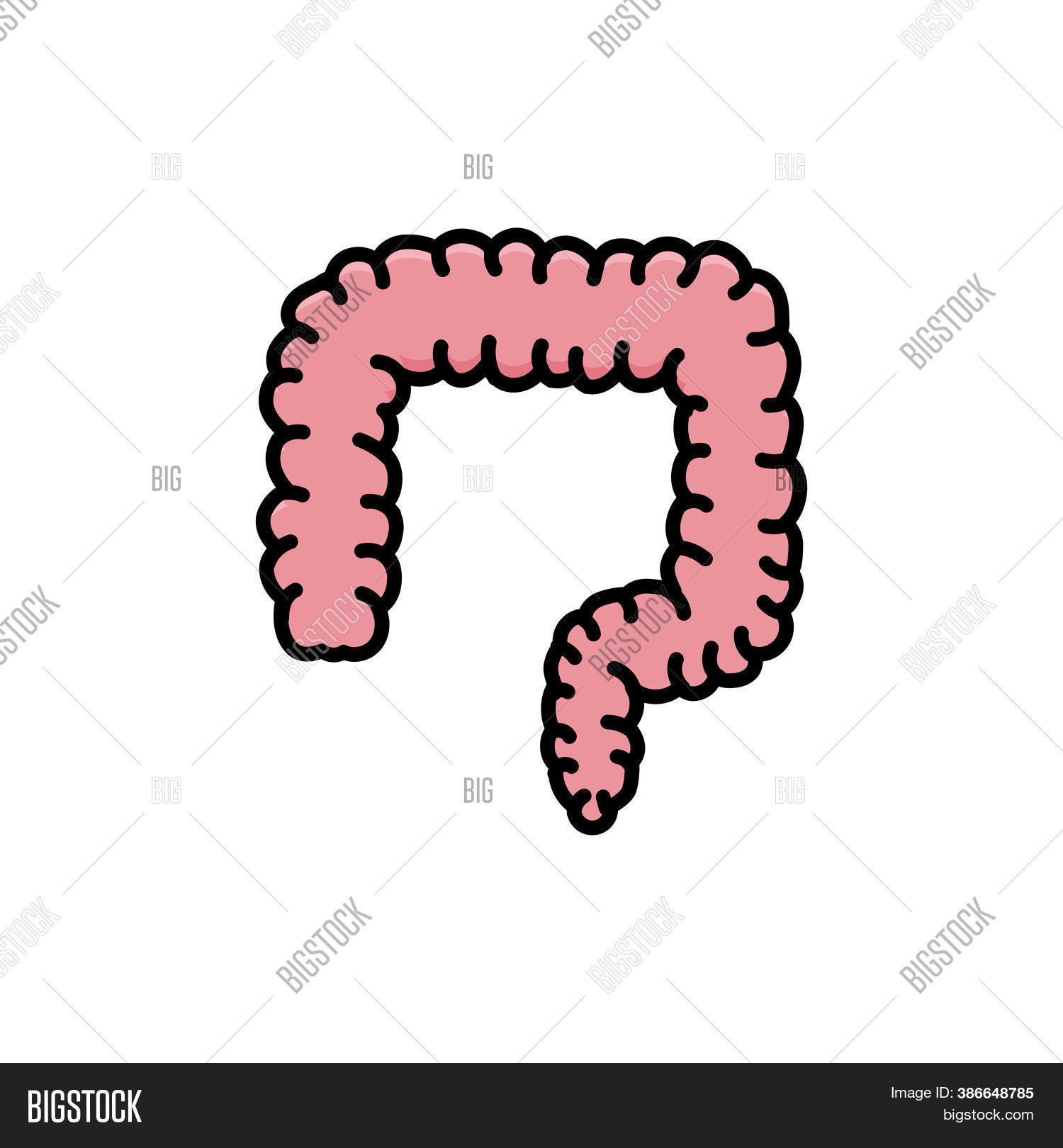 Colon Vector Design Vector & Photo (Free Trial) | Bigstock