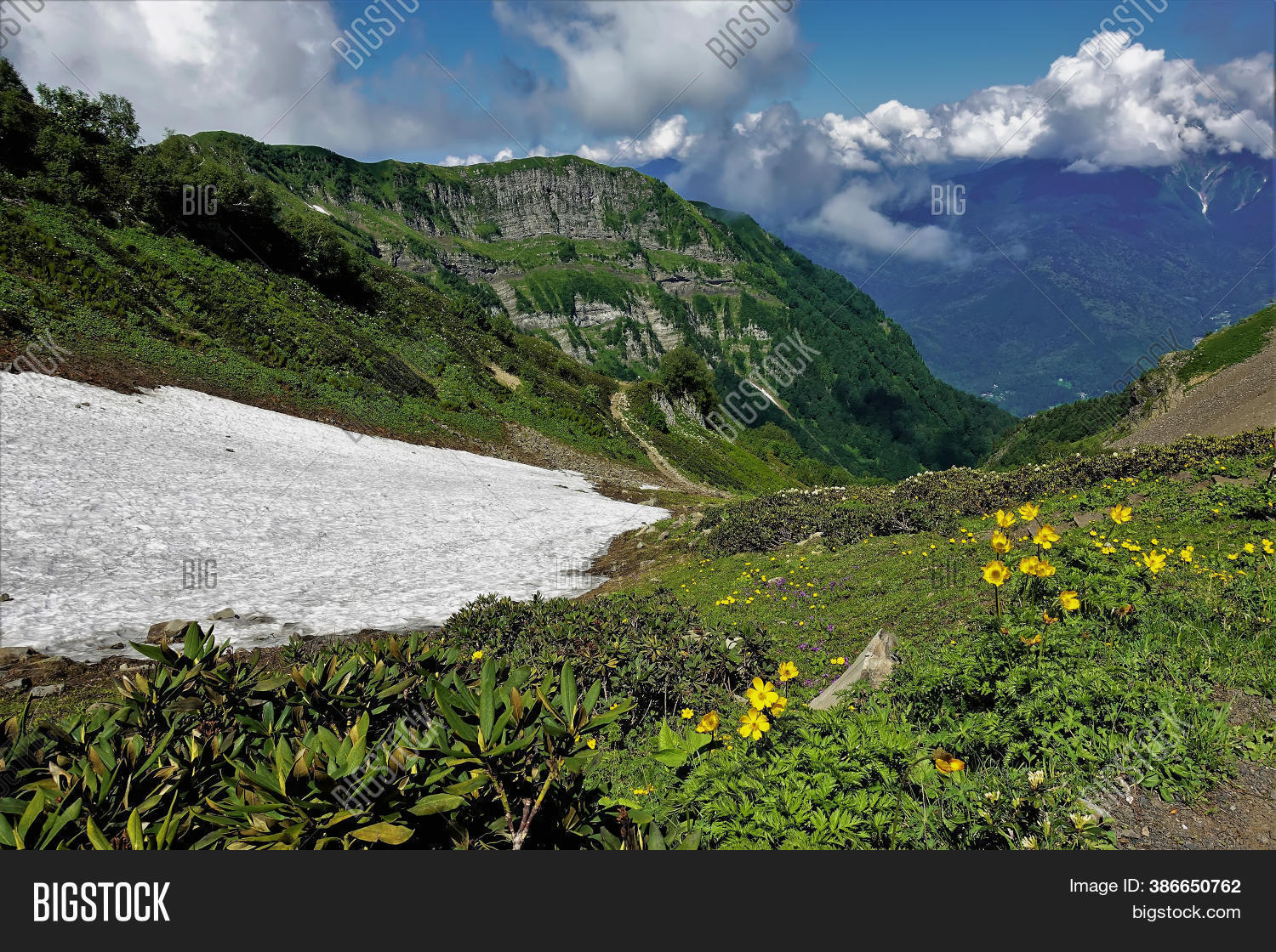 Summer Day Alpine Image & Photo (Free Trial) | Bigstock