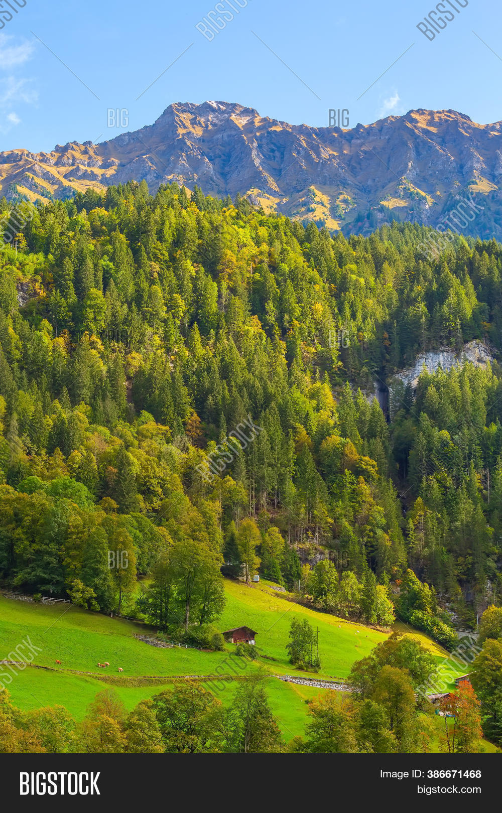 Autumn View Swiss Alps Image & Photo (Free Trial) | Bigstock