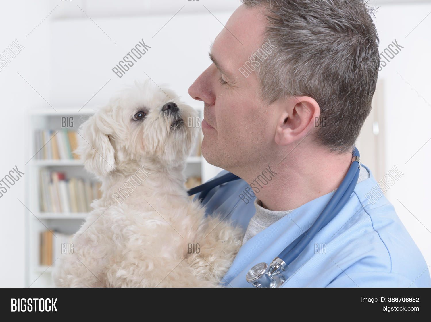 Happy Vet Little Dog Image & Photo (Free Trial) | Bigstock