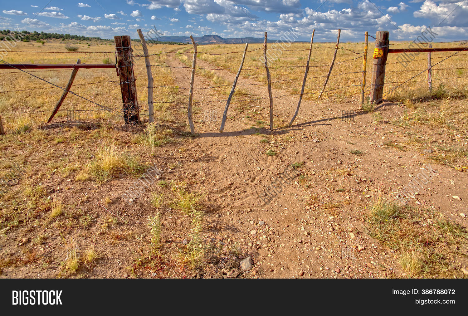 One Two Cattle Gates Image & Photo (Free Trial) | Bigstock