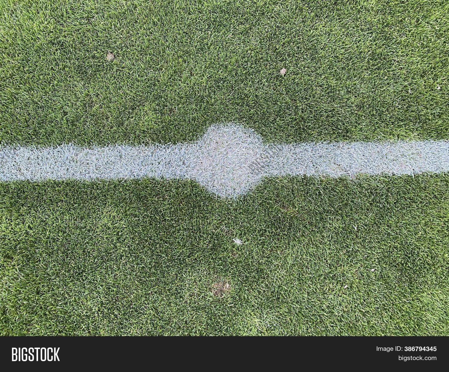 White Line Showing Image & Photo (Free Trial) | Bigstock