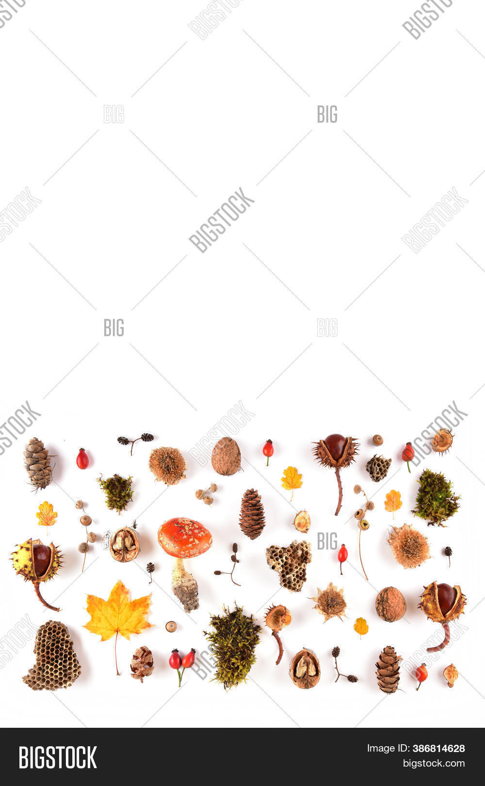 Autumn Composition On Image & Photo (Free Trial) | Bigstock