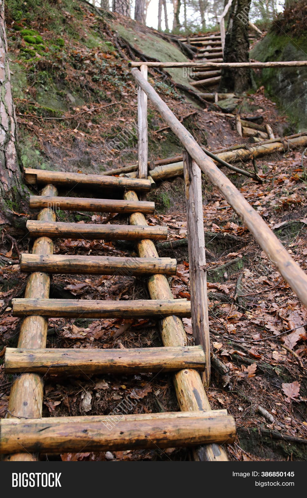 Wet Wooden Steps Image & Photo (Free Trial) | Bigstock