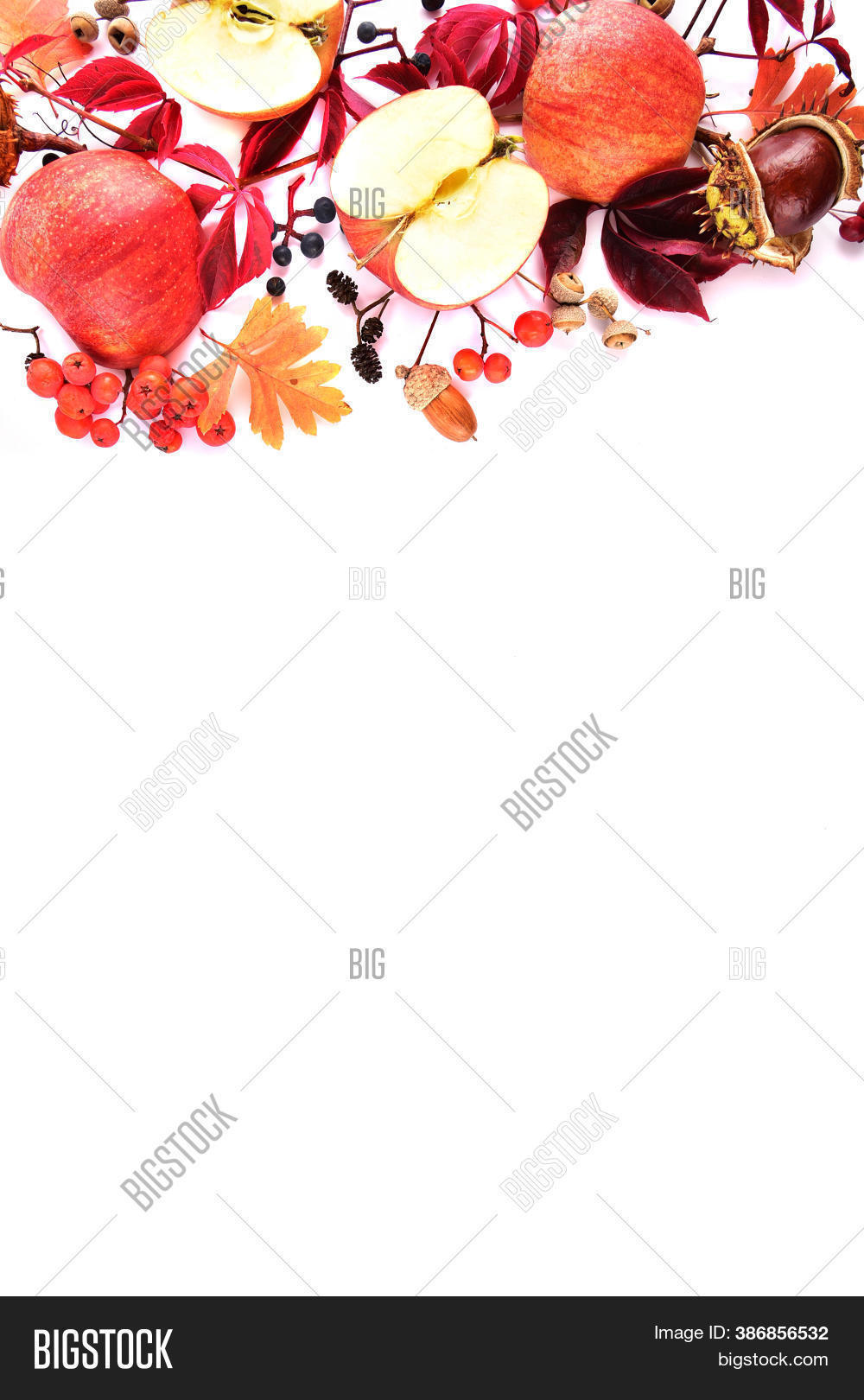 Autumn Composition On Image & Photo (Free Trial) | Bigstock
