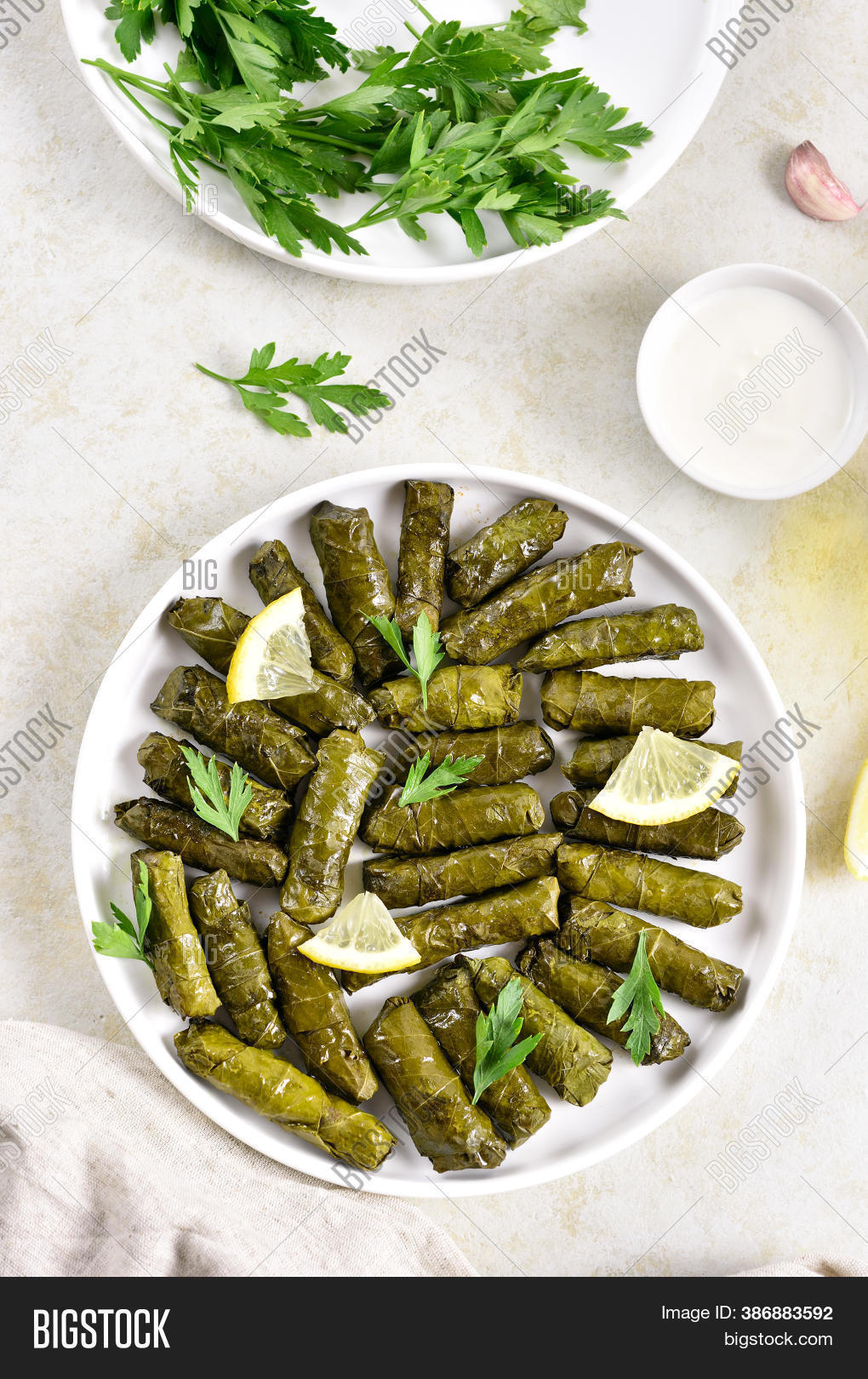 Dolma, Stuffed Grape Image & Photo (Free Trial) | Bigstock