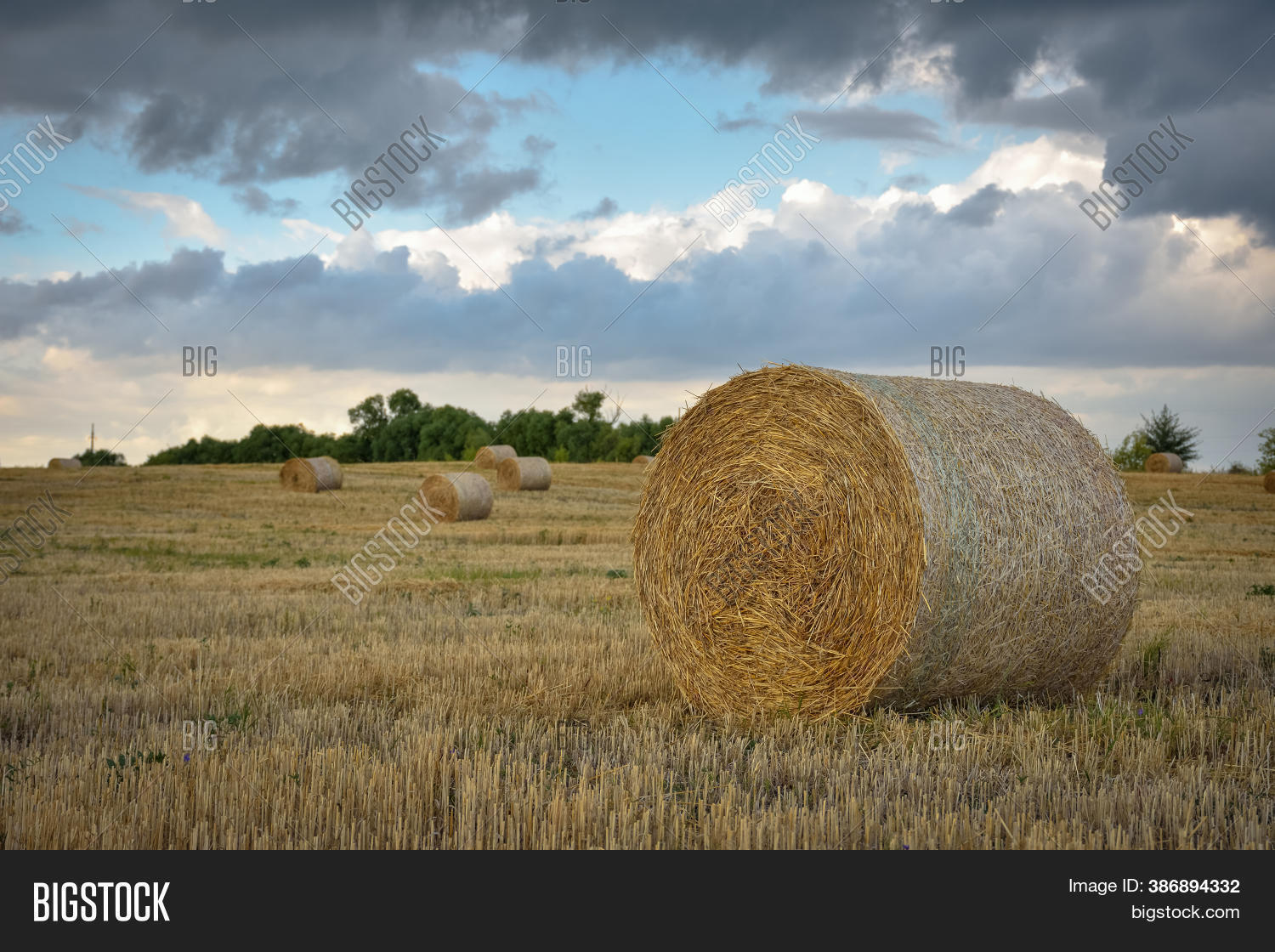 Round Haystack Against Image & Photo (Free Trial) | Bigstock