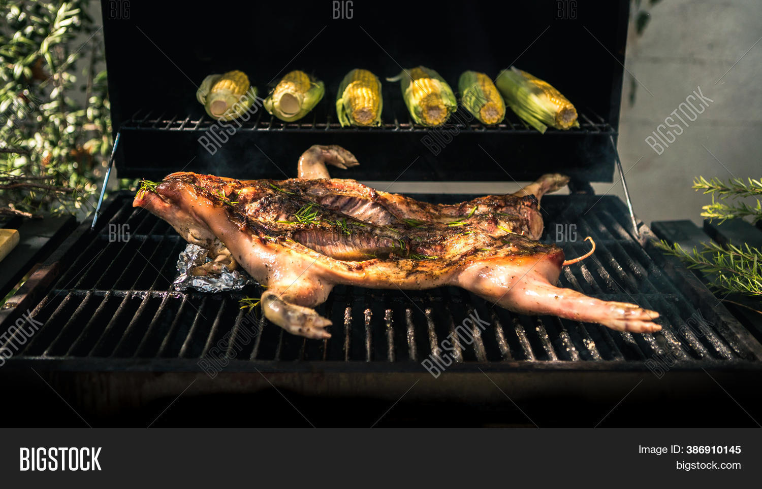 Crispy Roasted Piglet Image & Photo (Free Trial) | Bigstock
