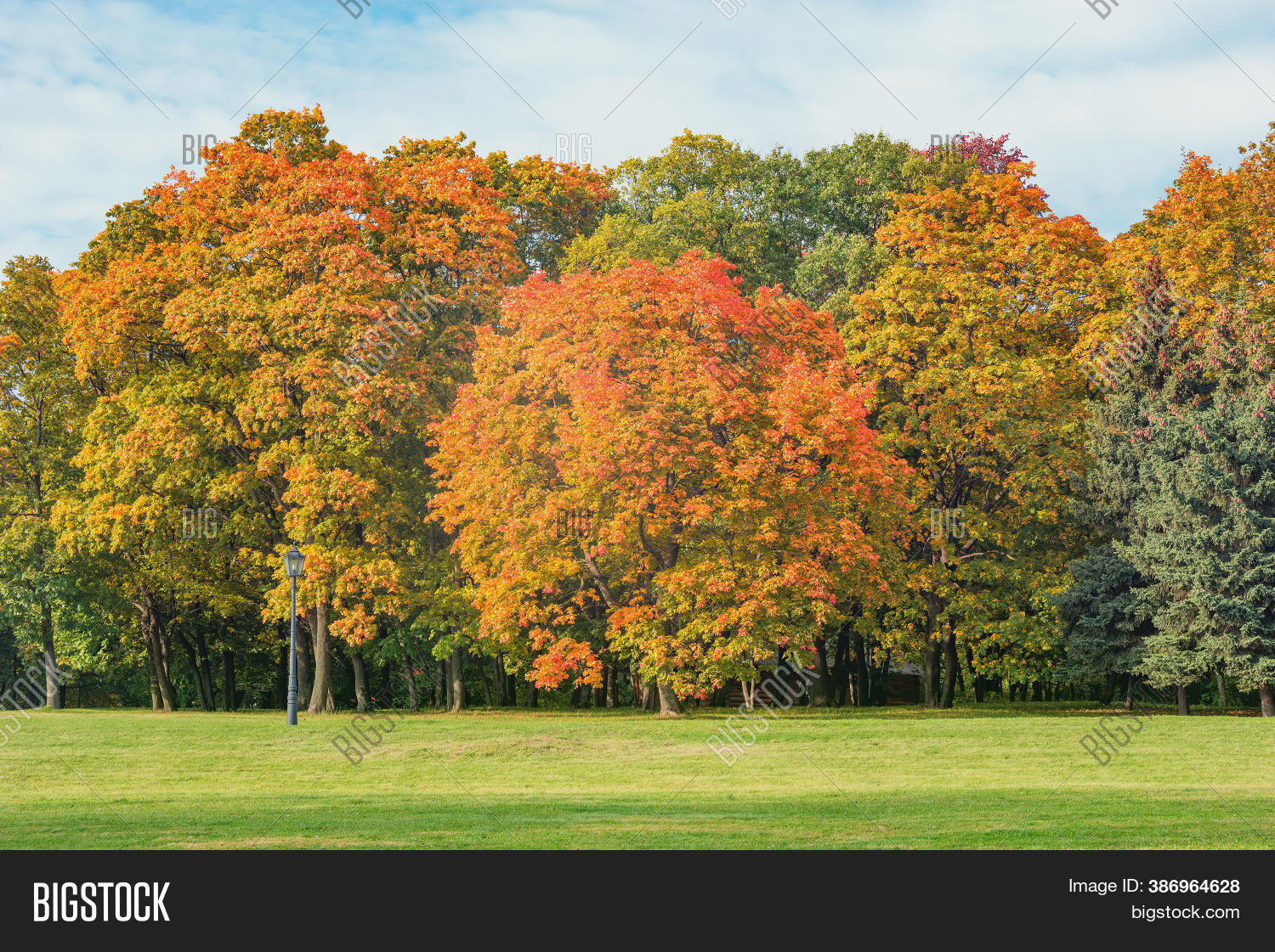 Trees By Meadow Autumn Image & Photo (Free Trial) | Bigstock