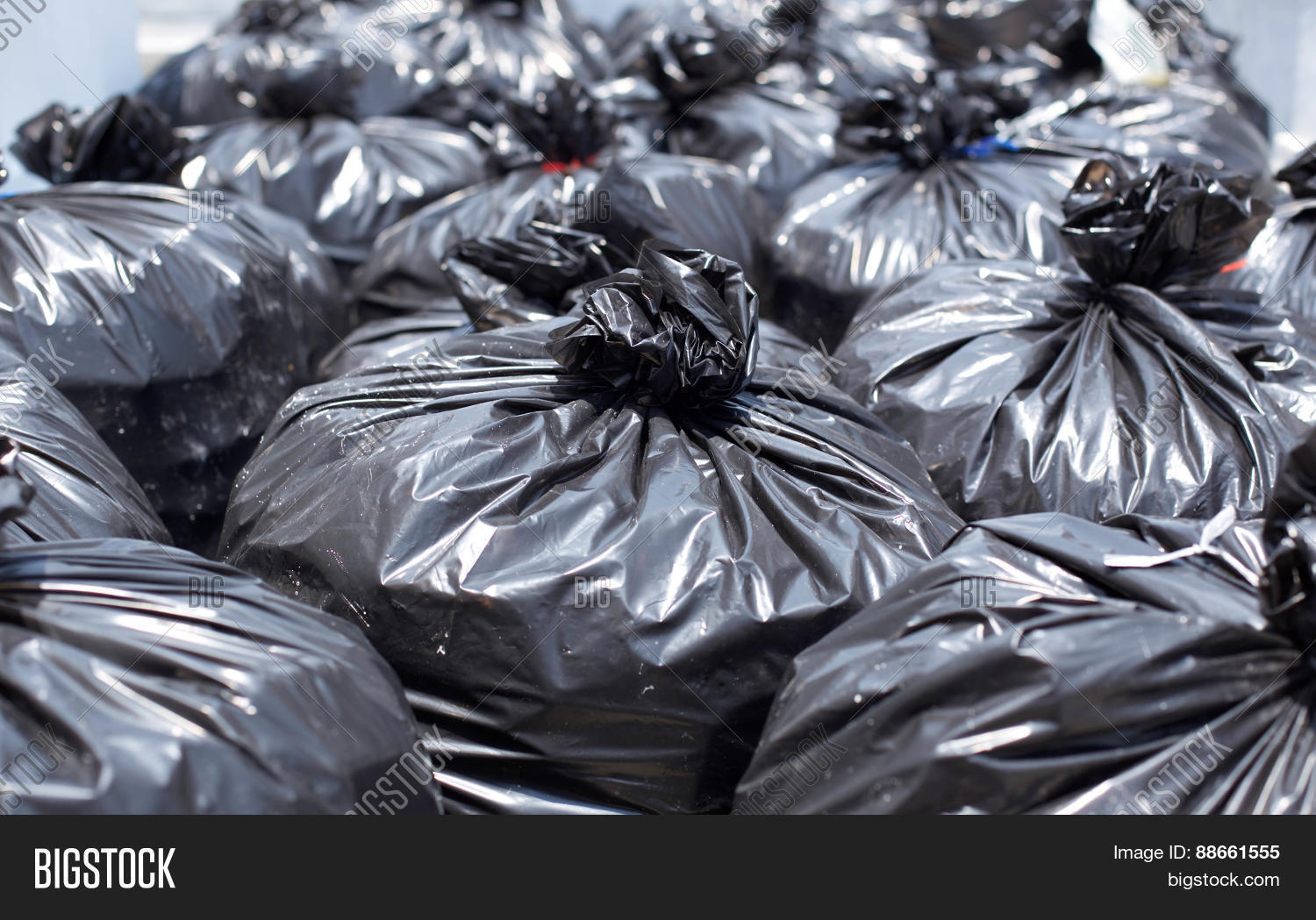 Black Garbage Bag On Image & Photo (Free Trial) | Bigstock