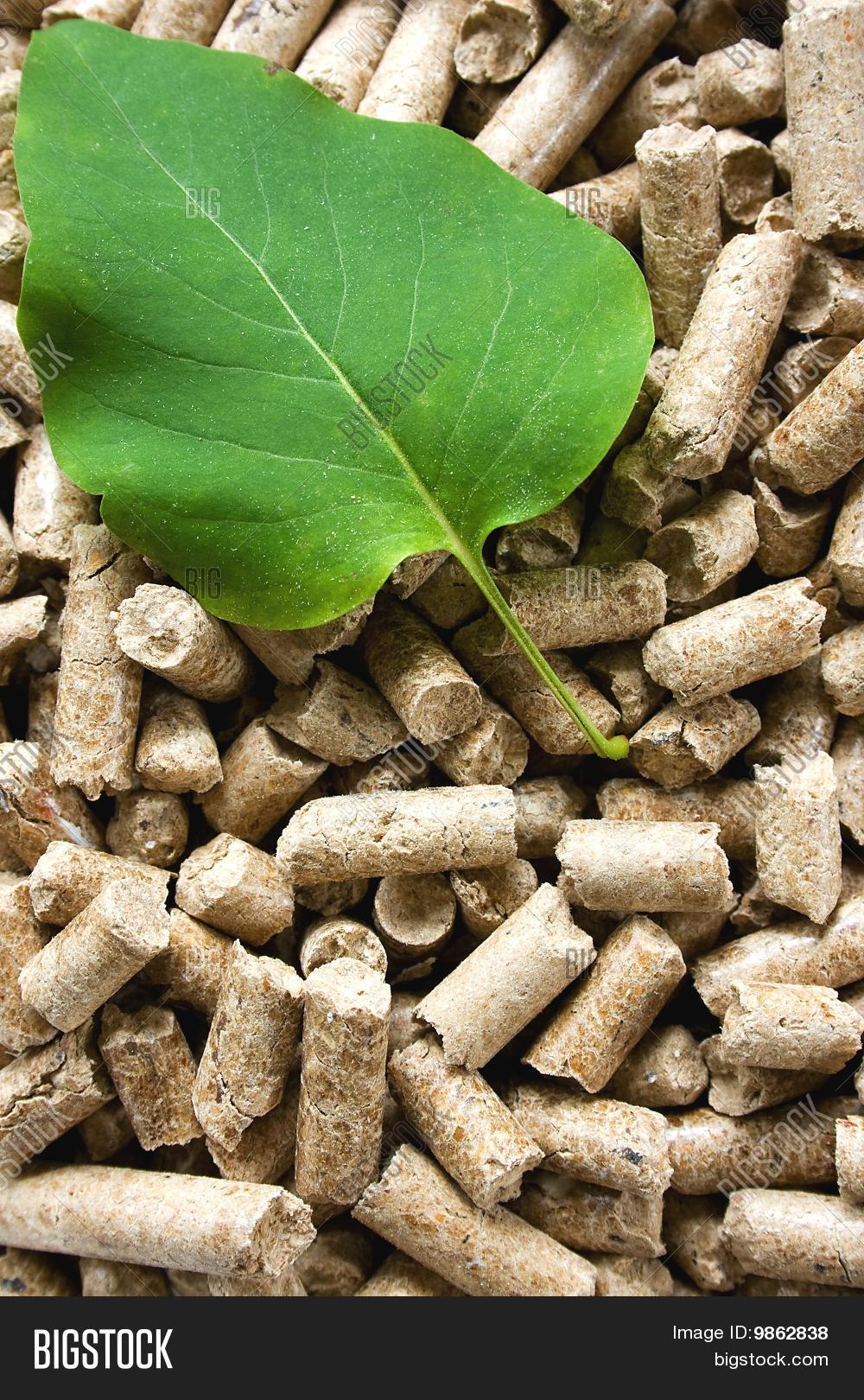 Wood Pellets & Green Image & Photo (Free Trial) | Bigstock