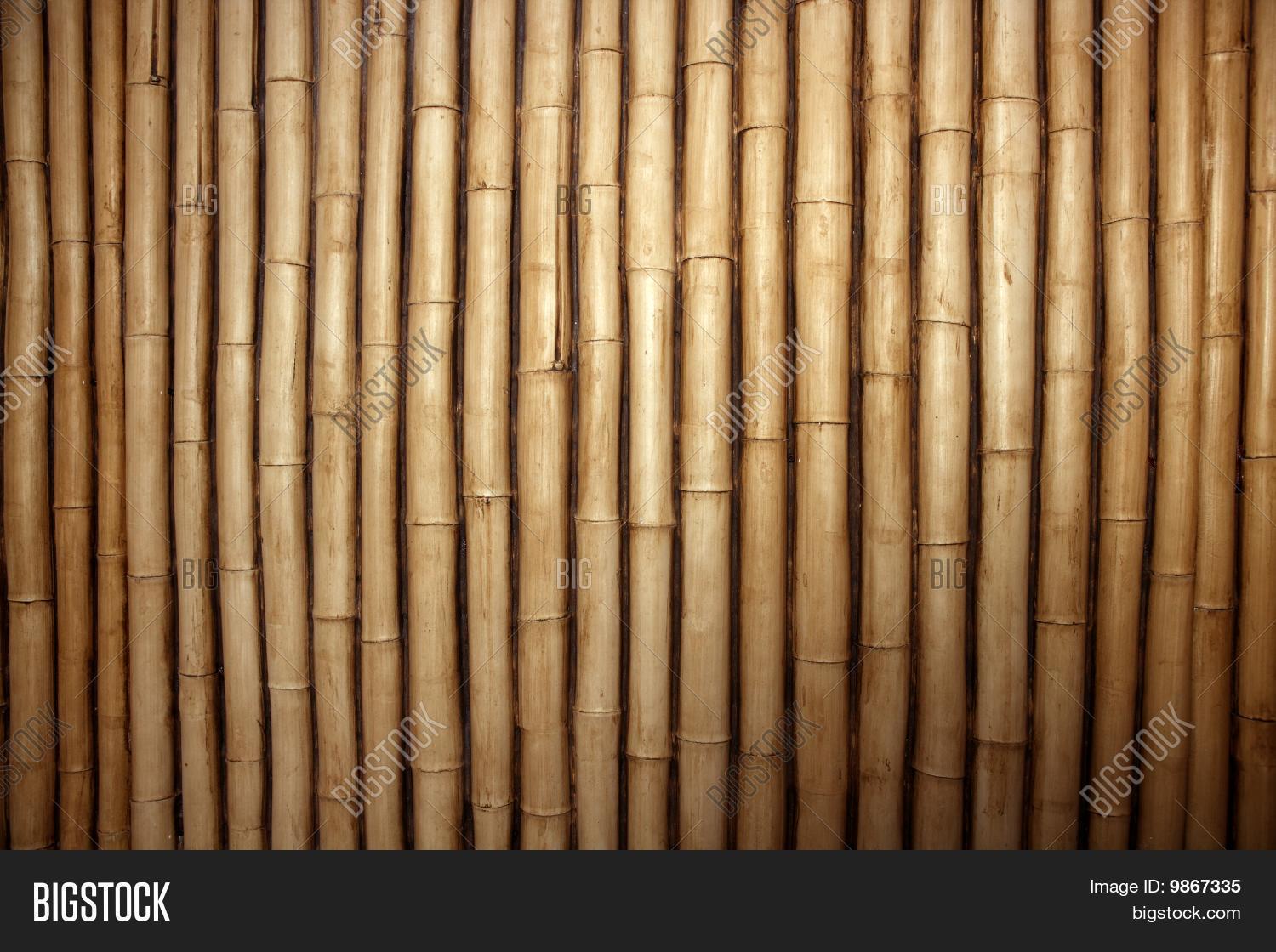 Bamboo Cane Row Image & Photo (Free Trial) | Bigstock