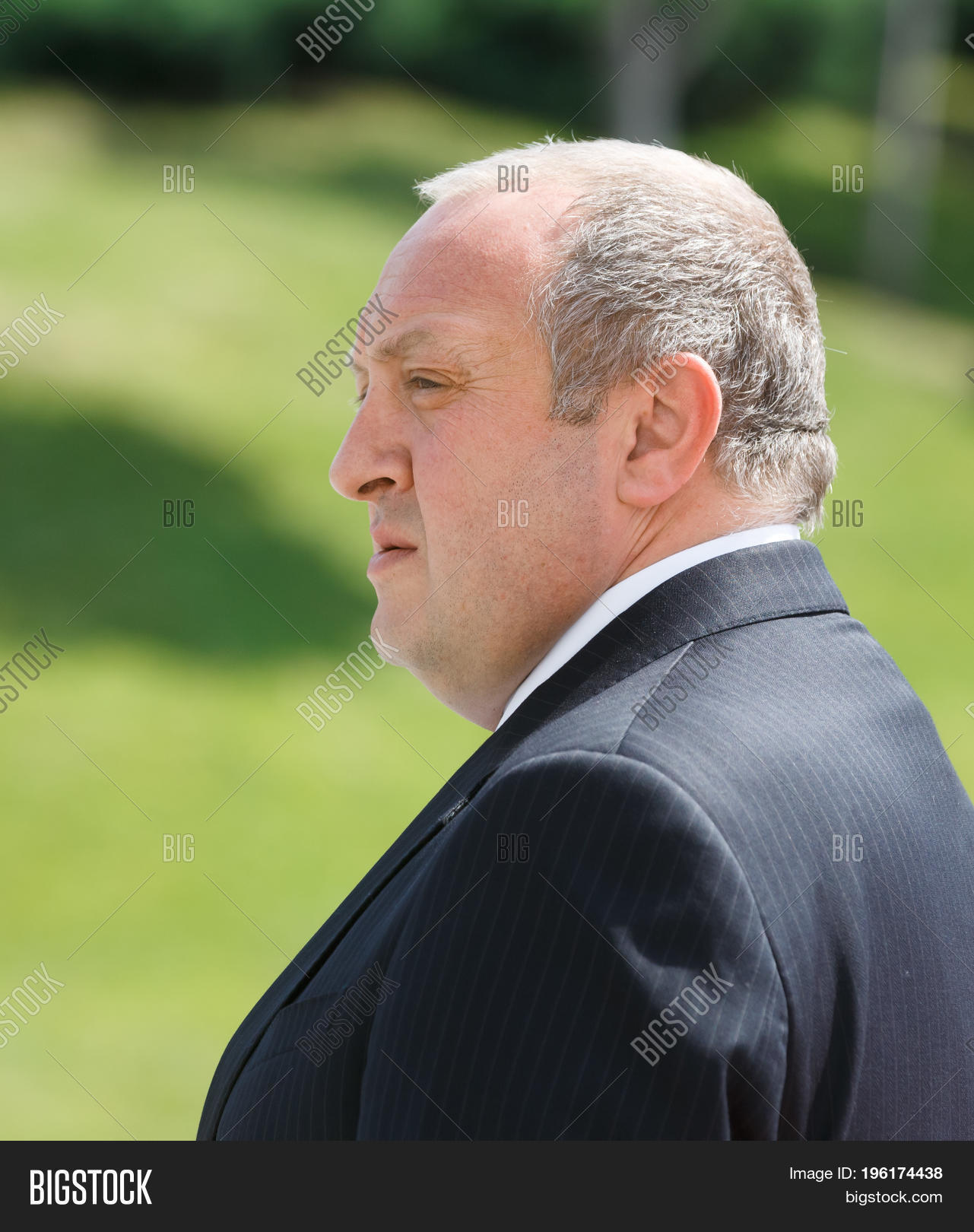 Georgian President Image & Photo (Free Trial) | Bigstock