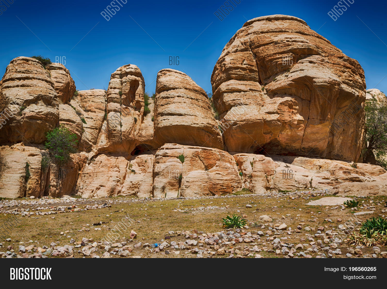 Scenic Wildlife Valley Image & Photo (Free Trial) | Bigstock