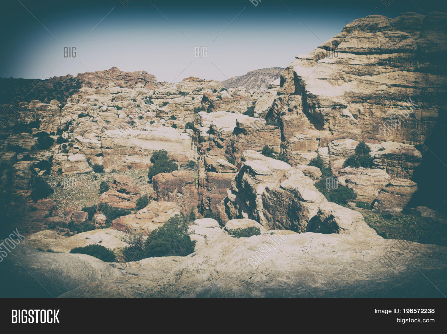 Scenic Wildlife Valley Image & Photo (Free Trial) | Bigstock