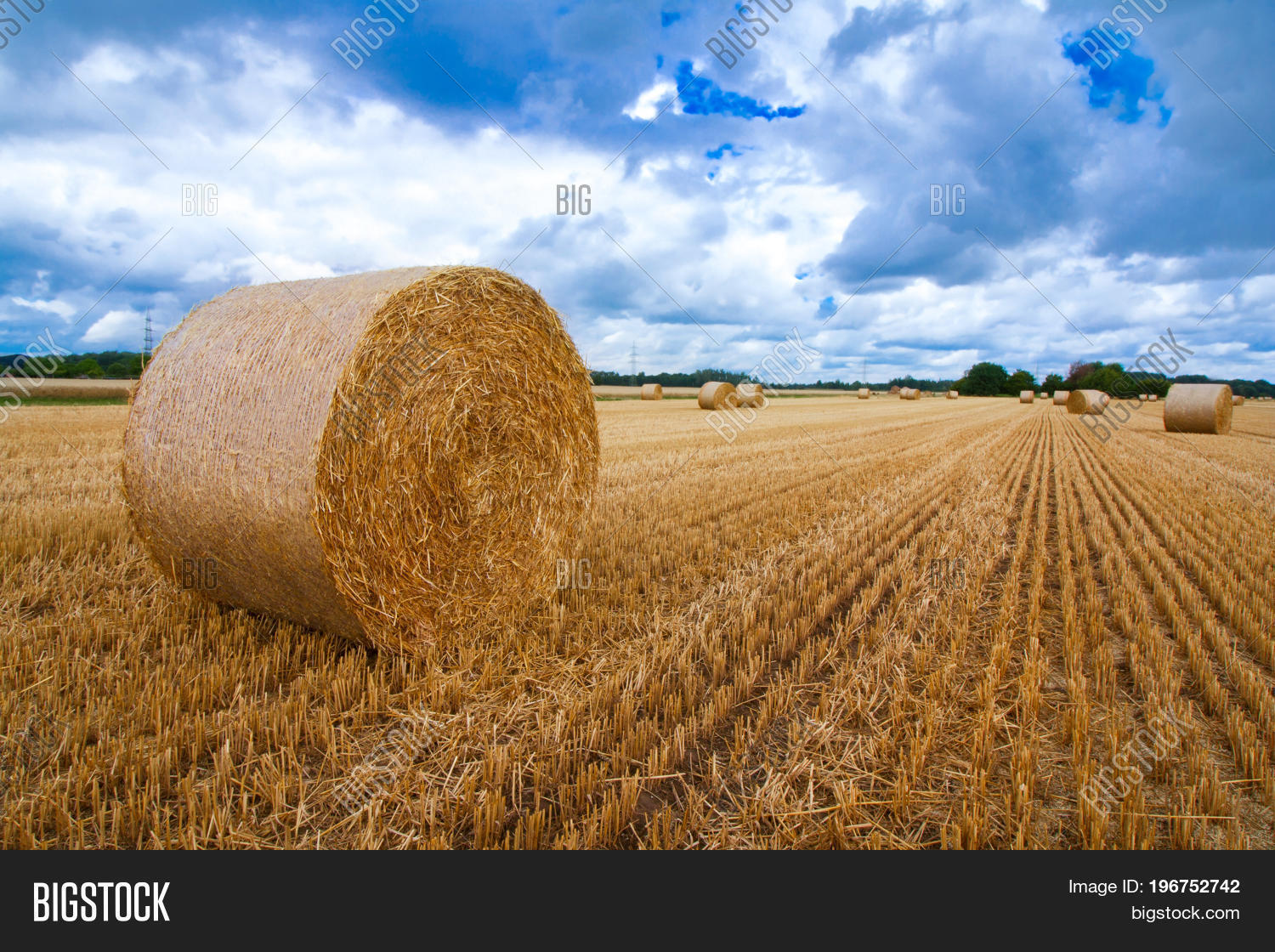 Ein Heuballen Steht Image & Photo (Free Trial) | Bigstock