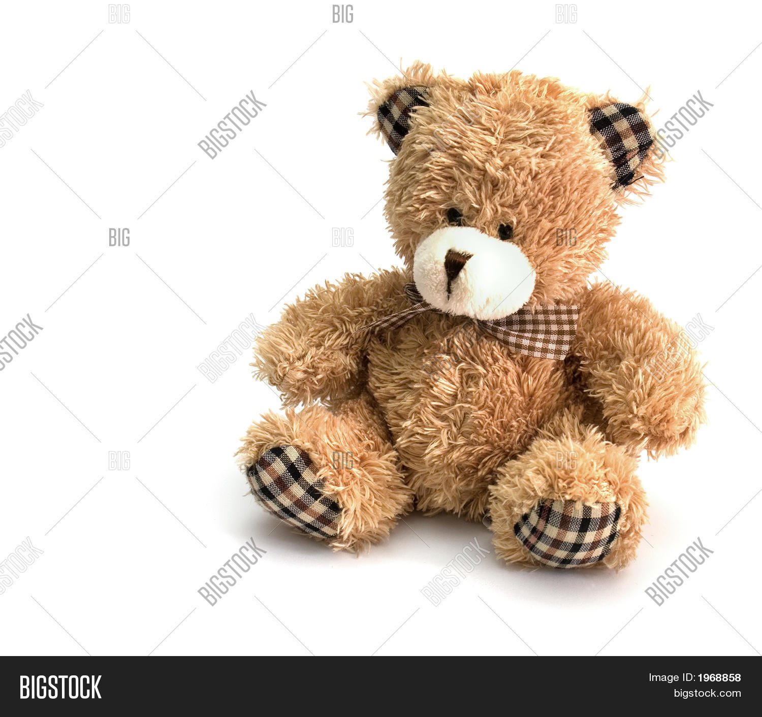 Fluffy Bear Image & Photo (Free Trial) | Bigstock