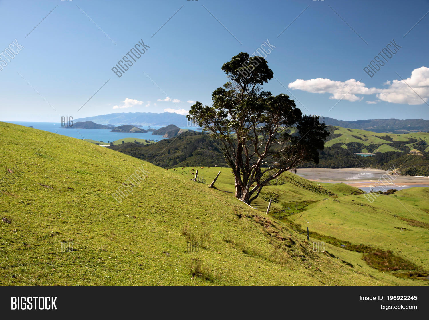 Imagen y foto Meadows Hills On (prueba gratis) | Bigstock