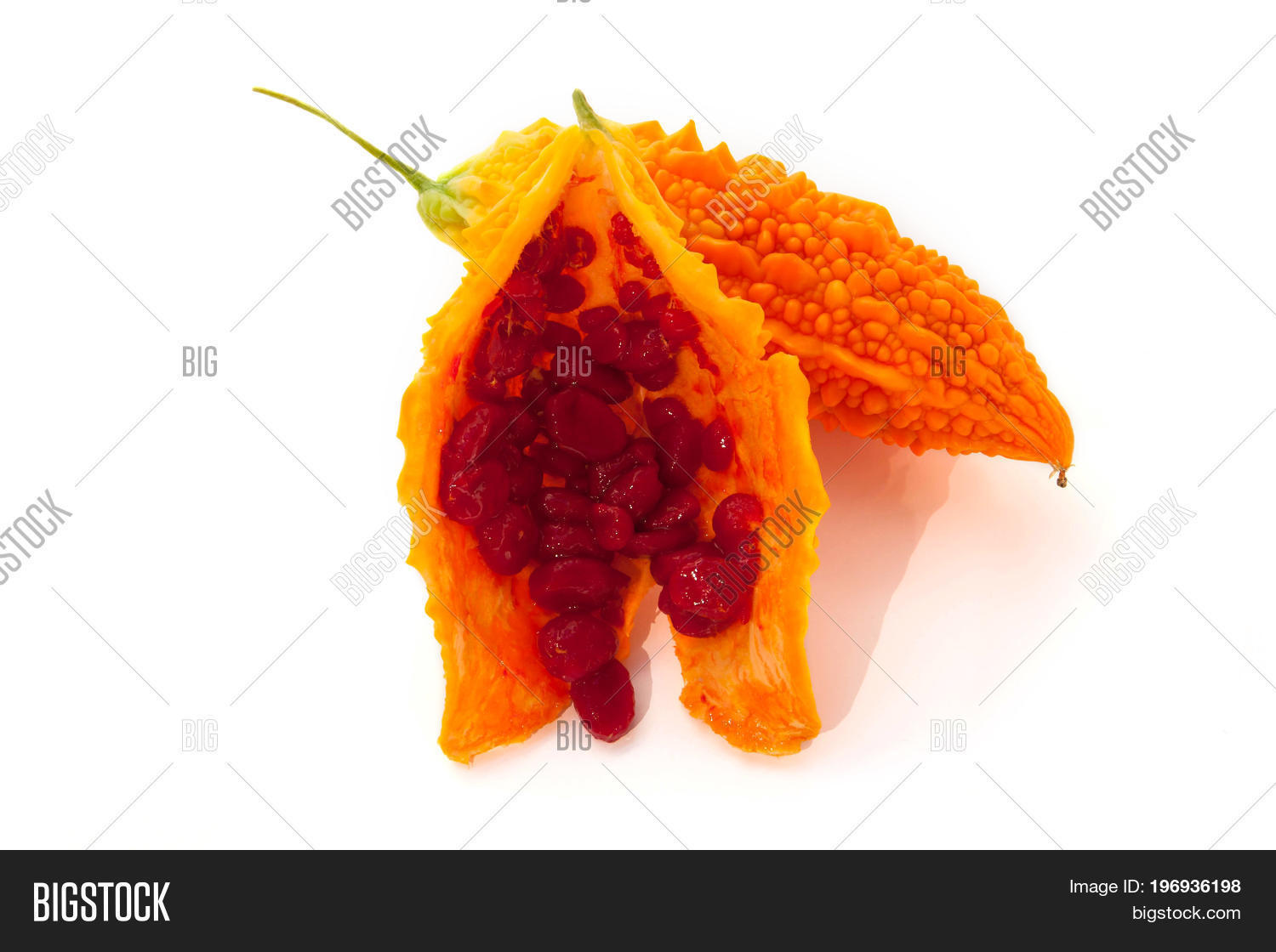 Bitter Melon Yellow Image & Photo (Free Trial) | Bigstock