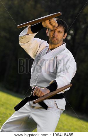 Expert Martial Arts Image & Photo (Free Trial) | Bigstock