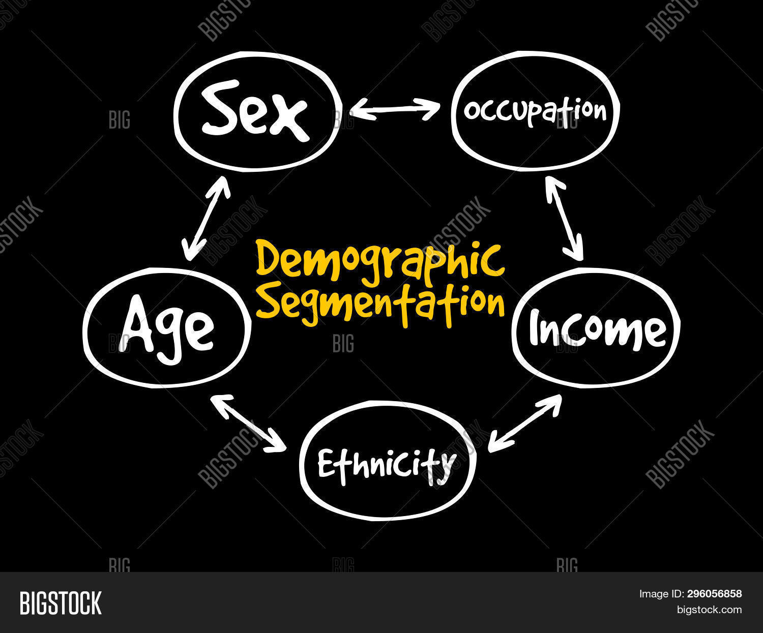 Demographic Image & Photo (Free Trial) | Bigstock