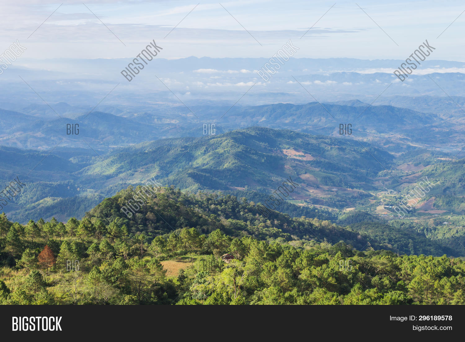 Green Tree Mountain Image & Photo (Free Trial) | Bigstock