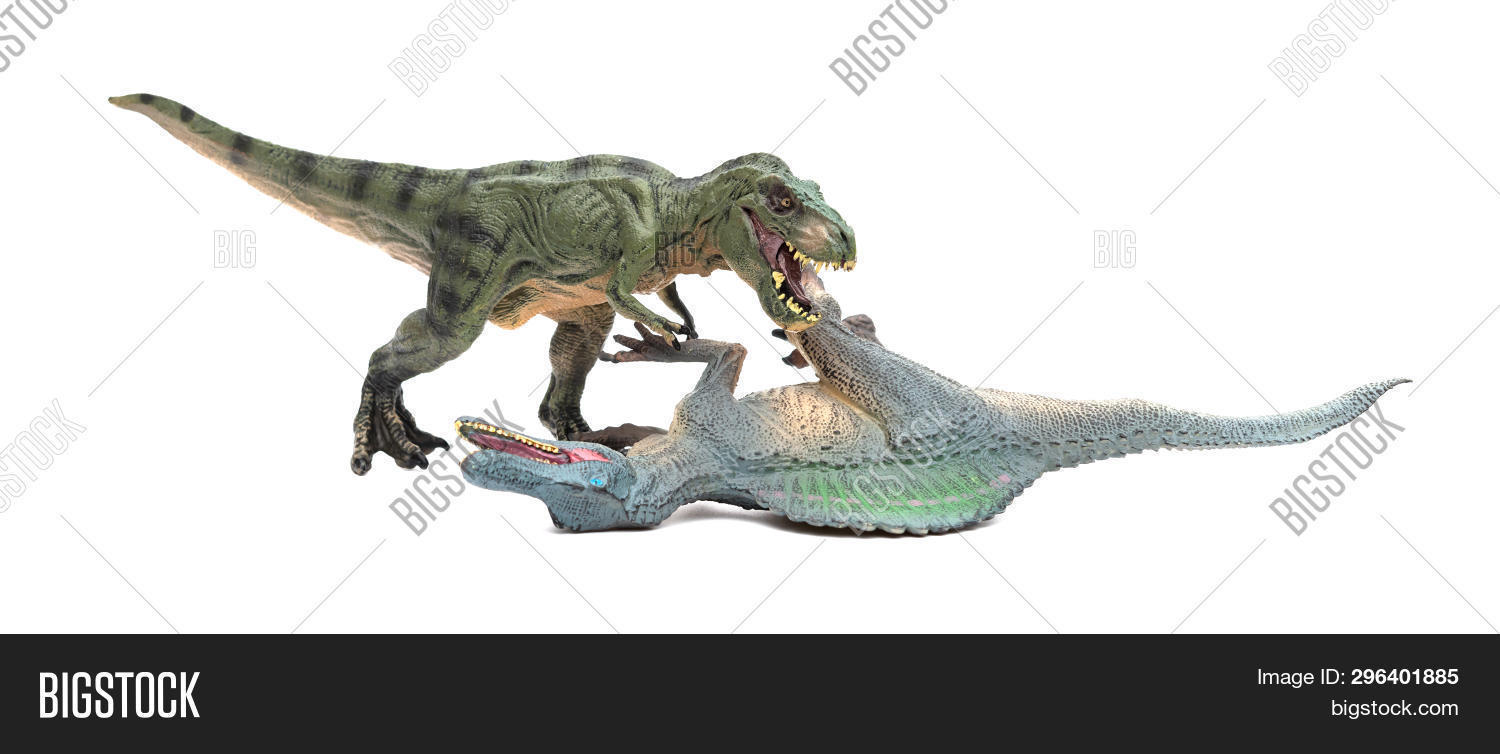 Tyrannosaurus Fights Image & Photo (Free Trial) | Bigstock
