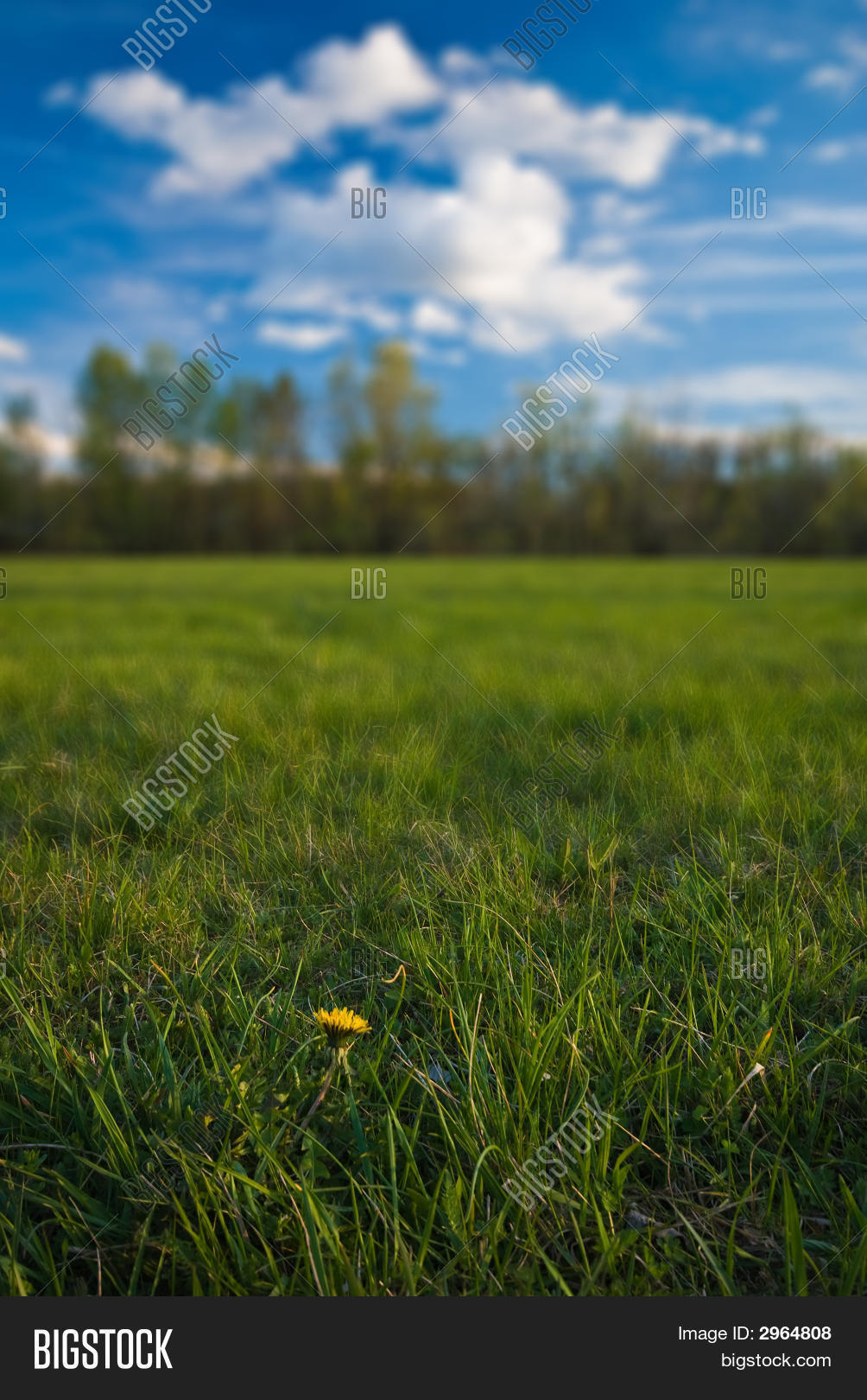 Meadow Image & Photo (Free Trial) | Bigstock