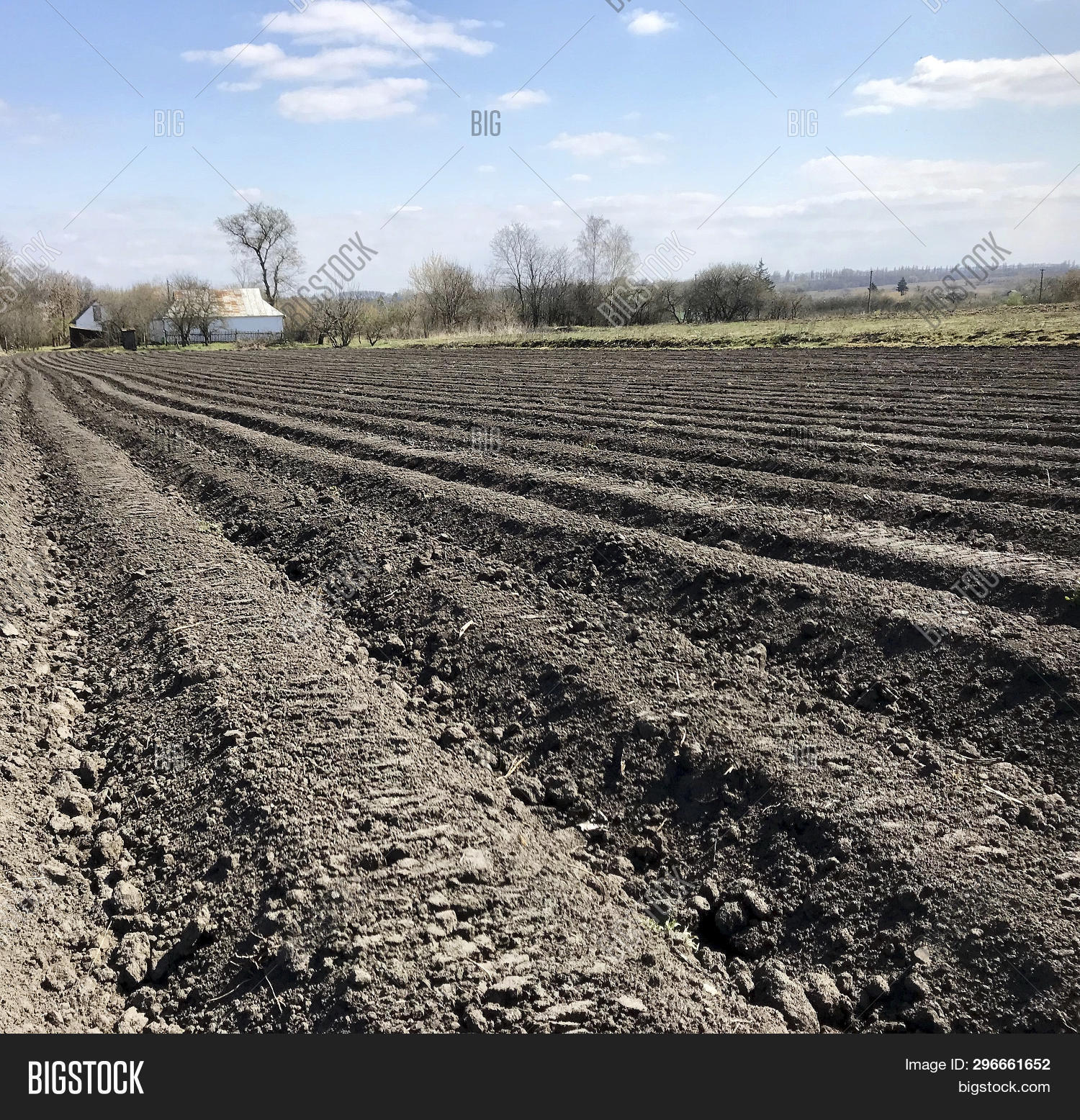 Plowed Field Potato Image & Photo (Free Trial) | Bigstock