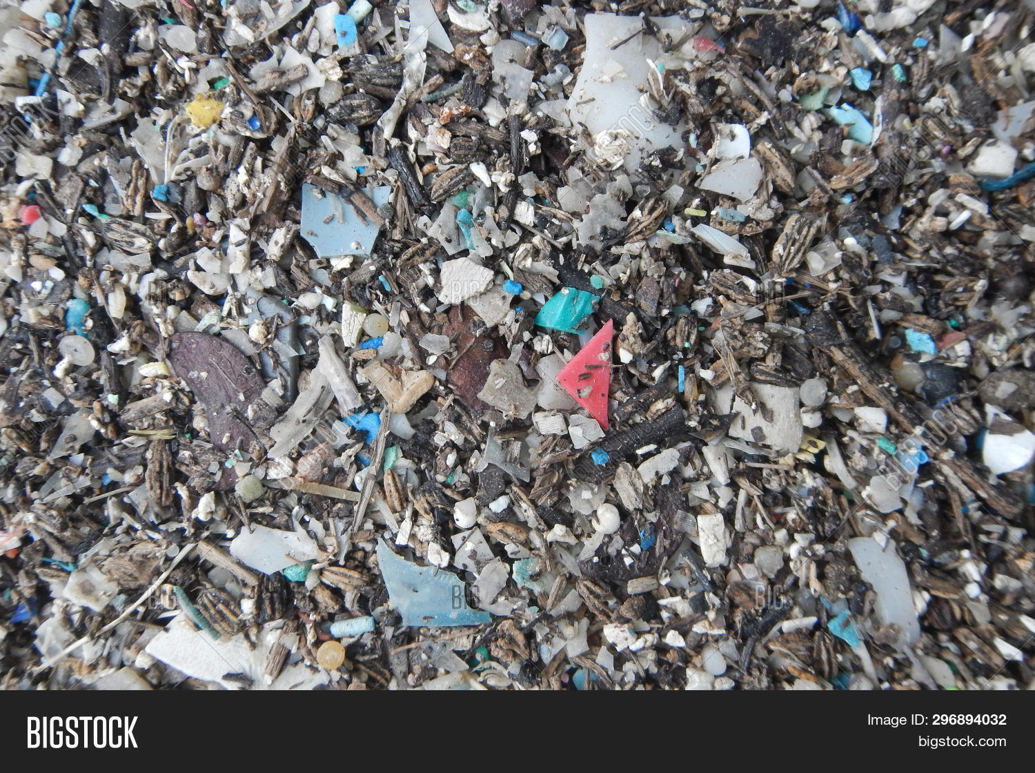 Micro Plastics Marine Image & Photo (Free Trial) | Bigstock