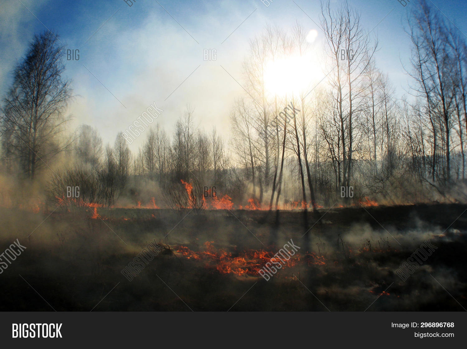 Burning Straw On Field Image & Photo (Free Trial) | Bigstock