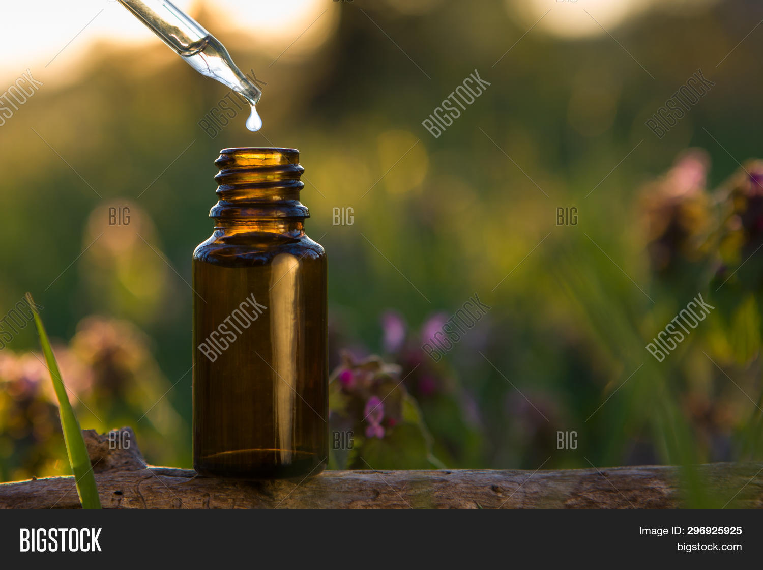 Essential Oil Dripping Image & Photo (Free Trial) | Bigstock