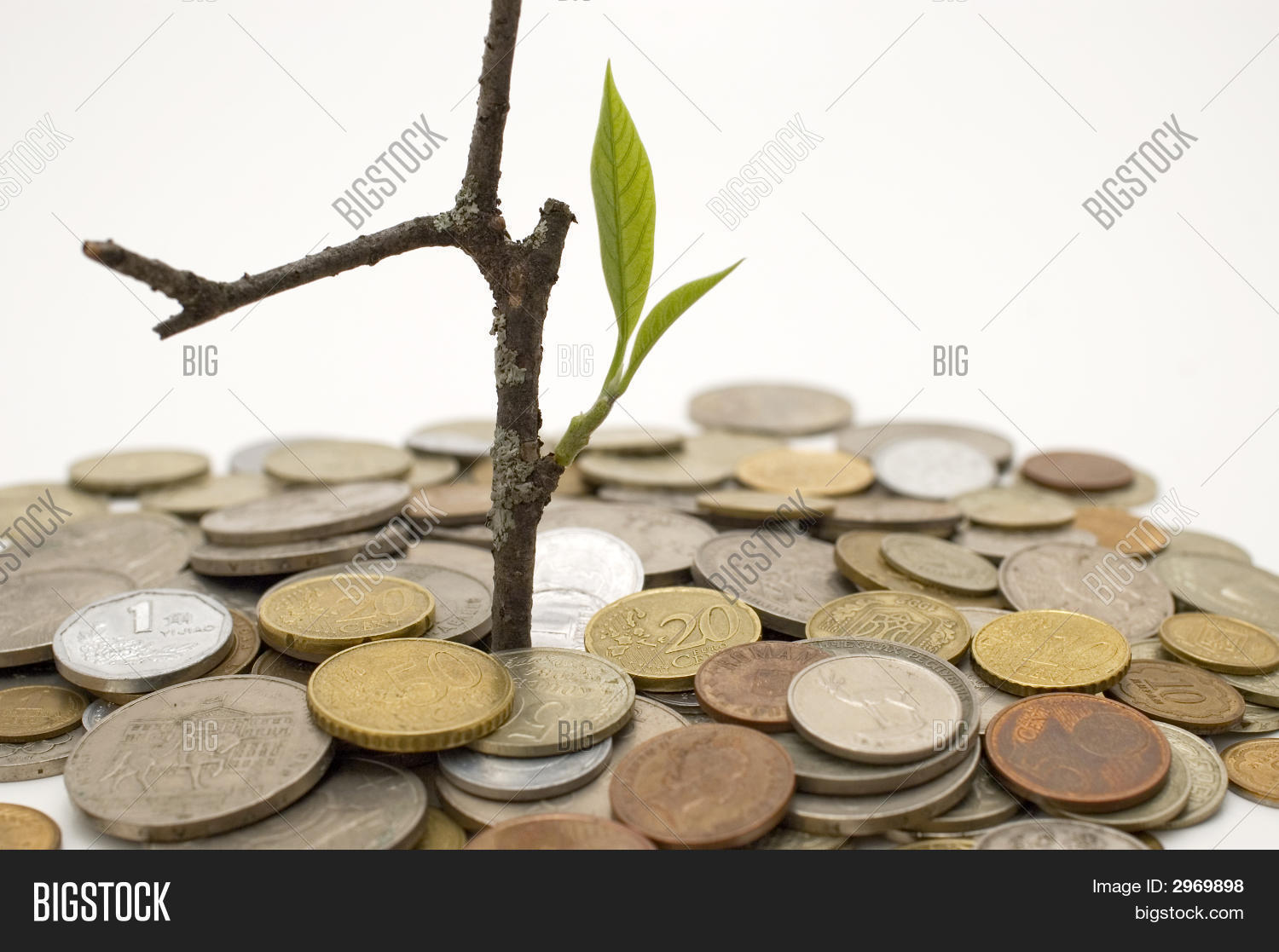 Financial Growth. Image & Photo (Free Trial) | Bigstock