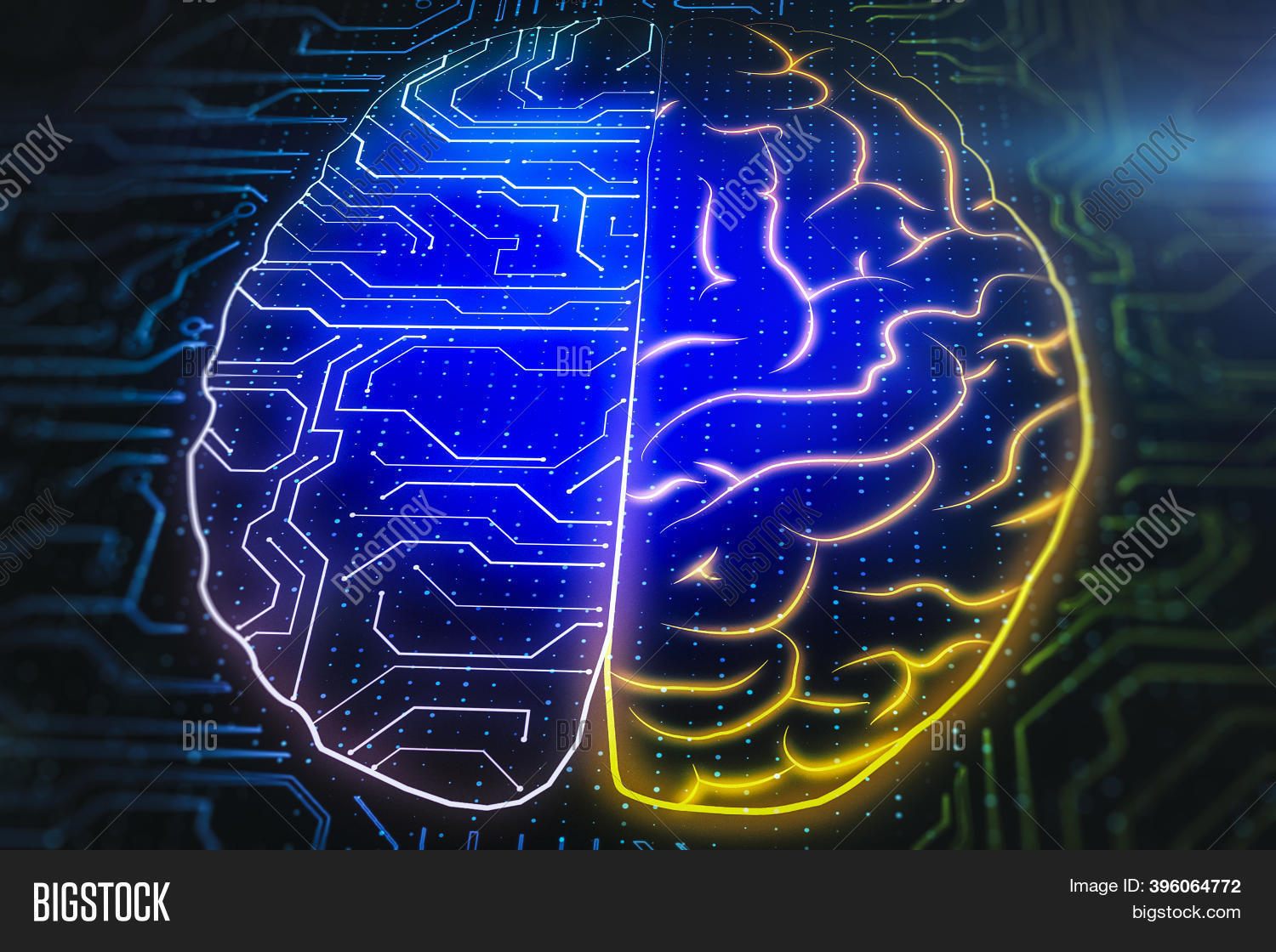 Two Digital Cerebral Image & Photo (Free Trial) | Bigstock
