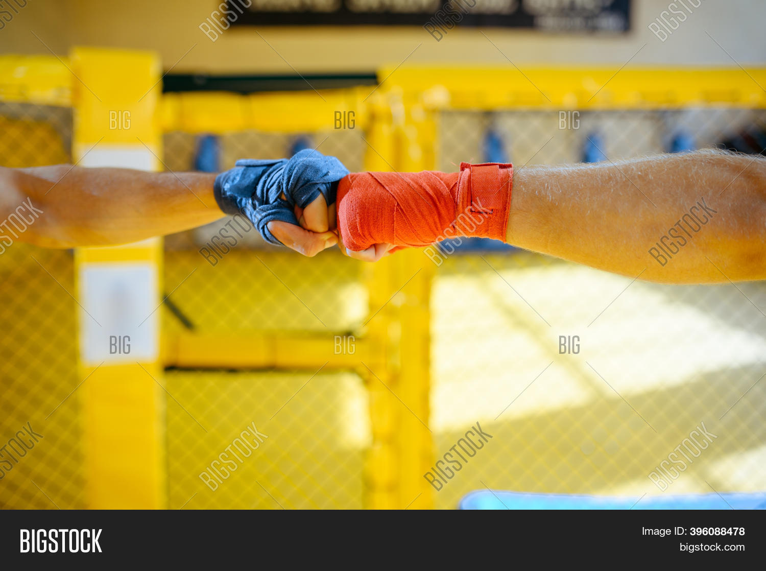 Male MMA Fighters Image & Photo (Free Trial) | Bigstock