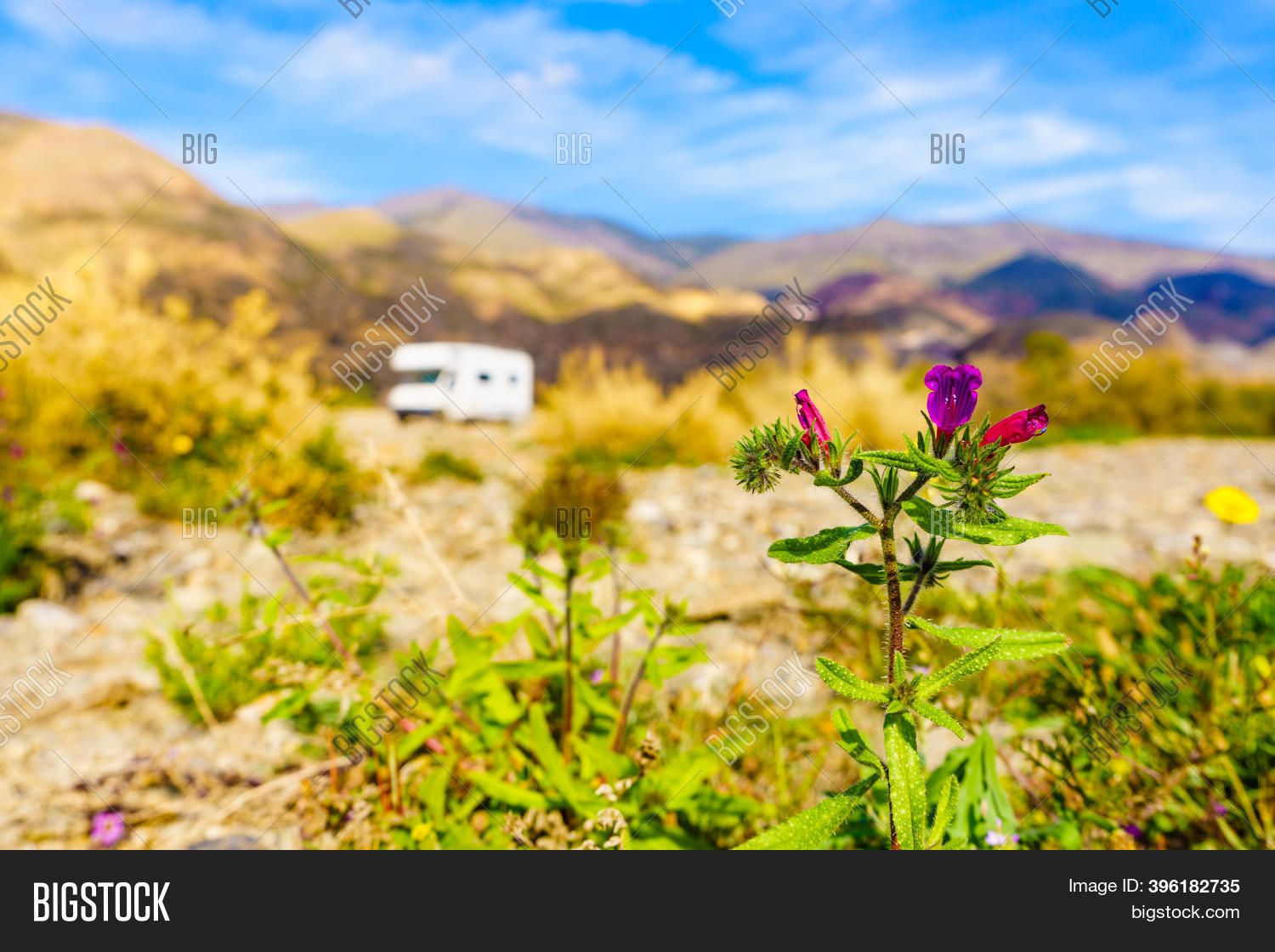 Spring Flowers Camper Image & Photo (Free Trial) | Bigstock