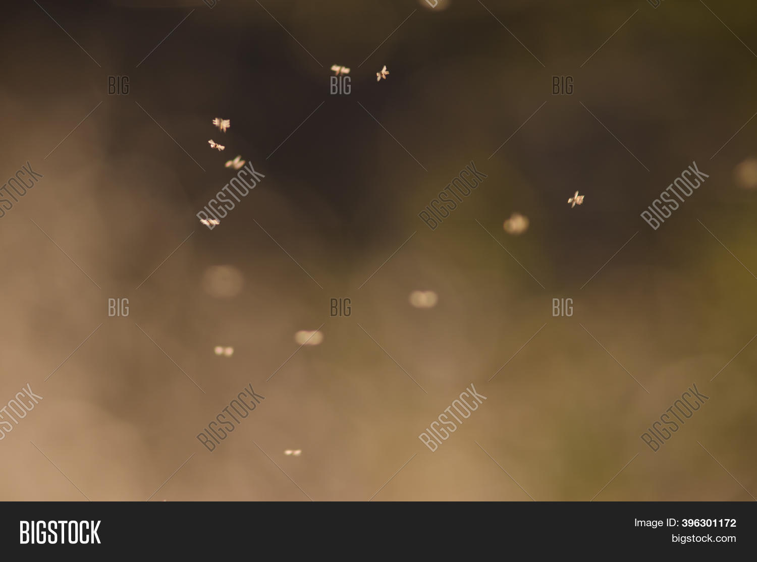 Group Flies Flying Image & Photo (Free Trial) | Bigstock